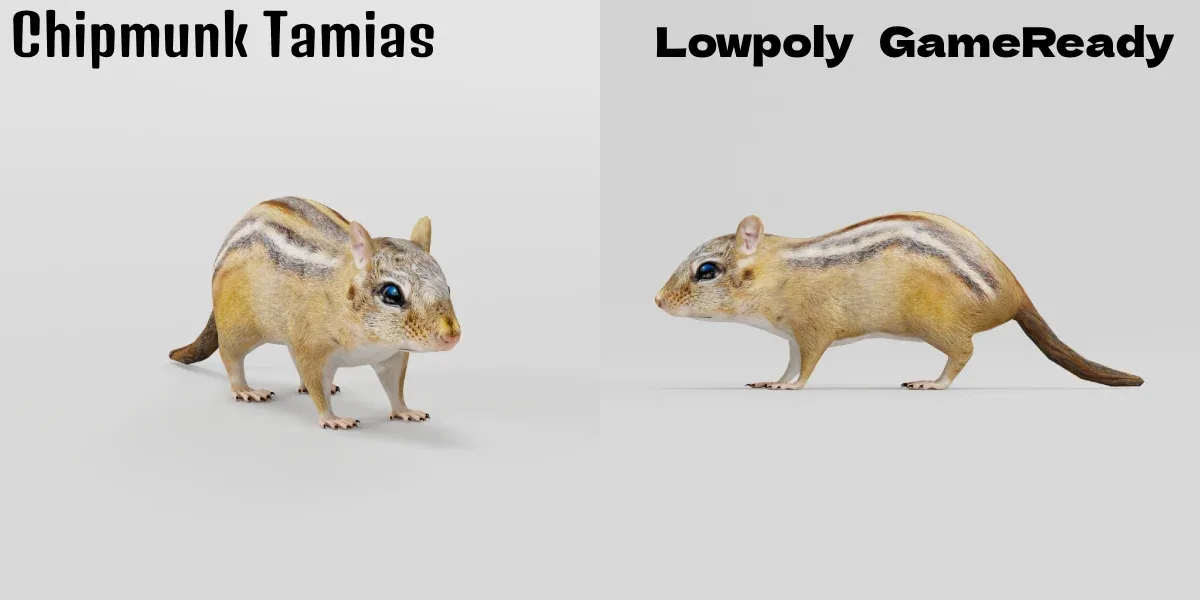 Chipmunk Tamias Rodent - FlippedNormals