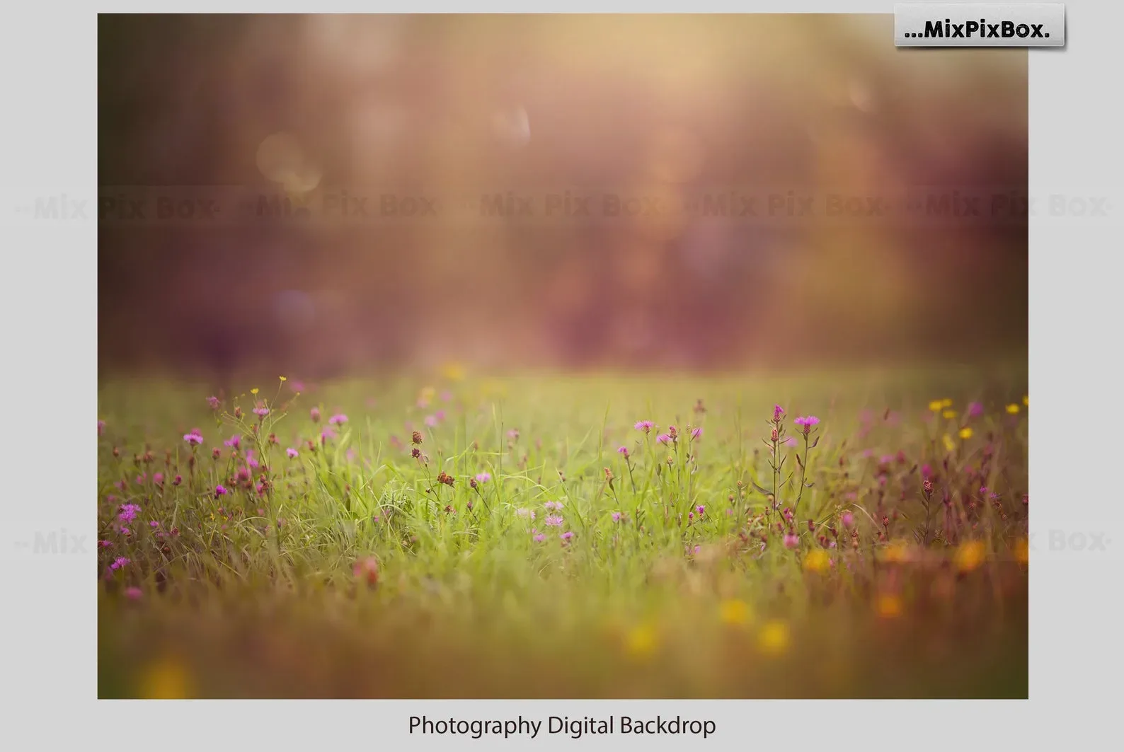 Summer Field Backdrops - FlippedNormals
