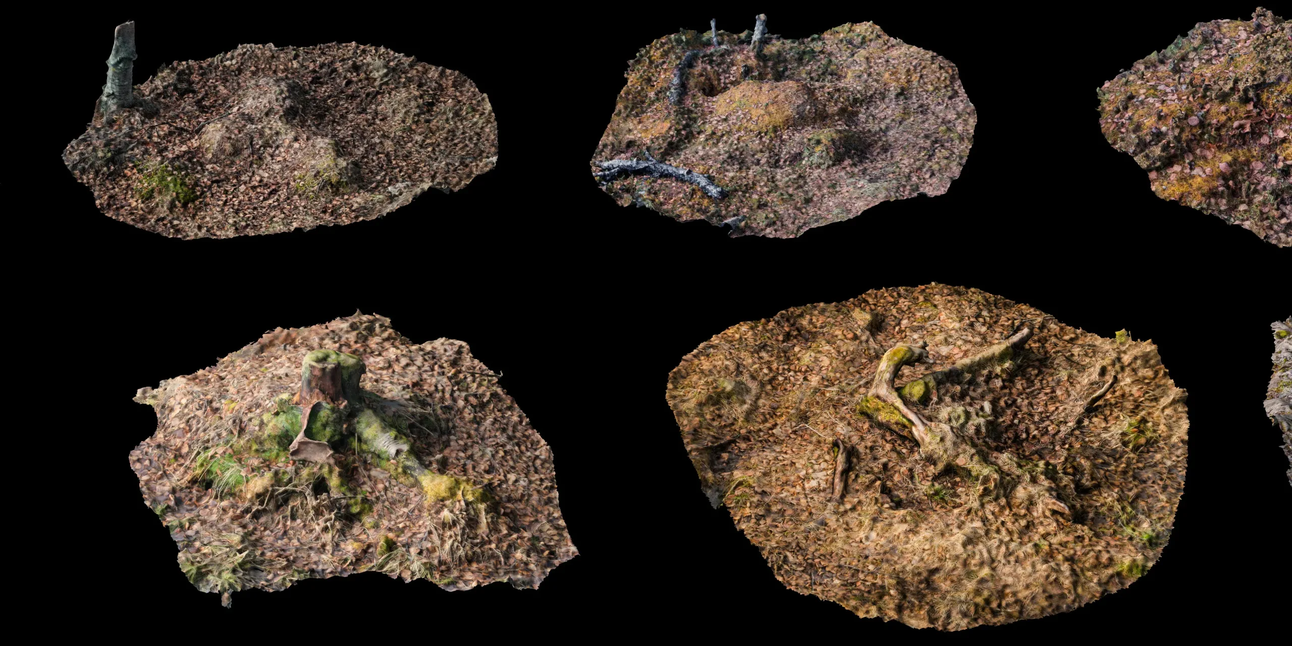 PBR Nature Photogrammetry Bundle - FlippedNormals