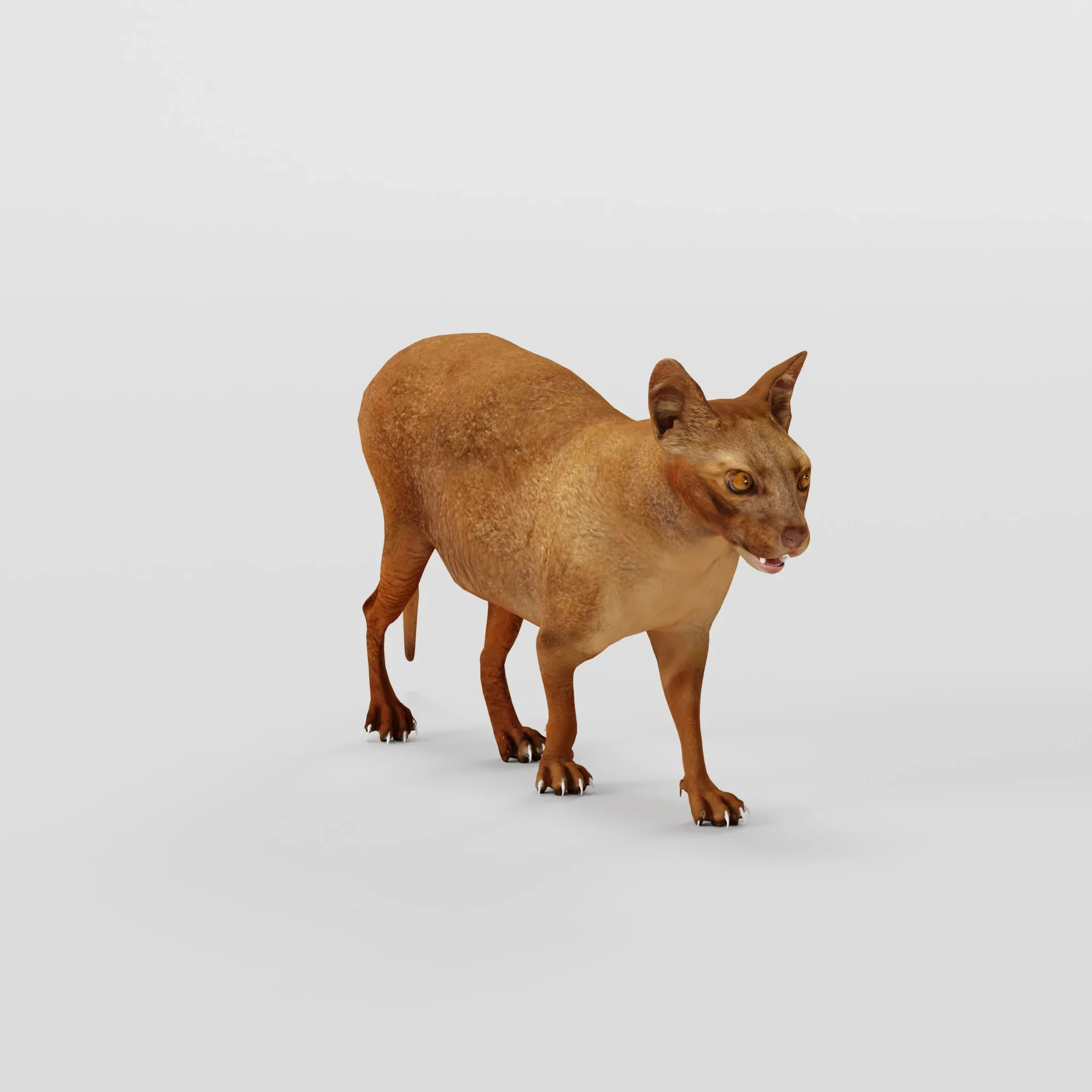 Fossa Animal - FlippedNormals