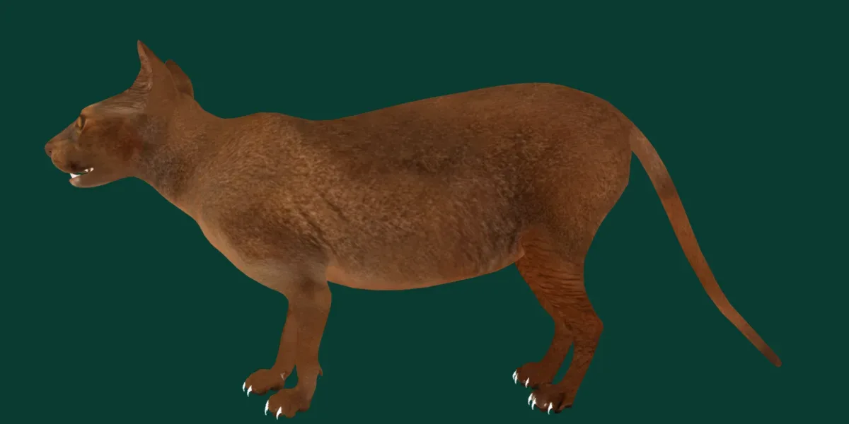 Fossa Animal - FlippedNormals