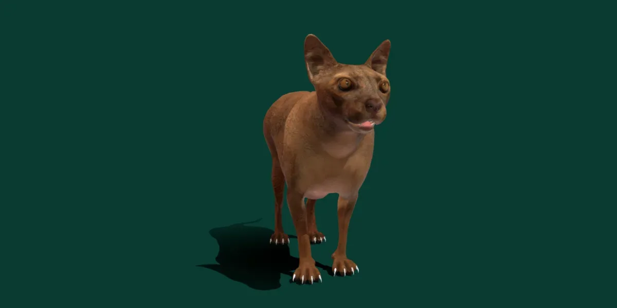 Fossa Animal - FlippedNormals