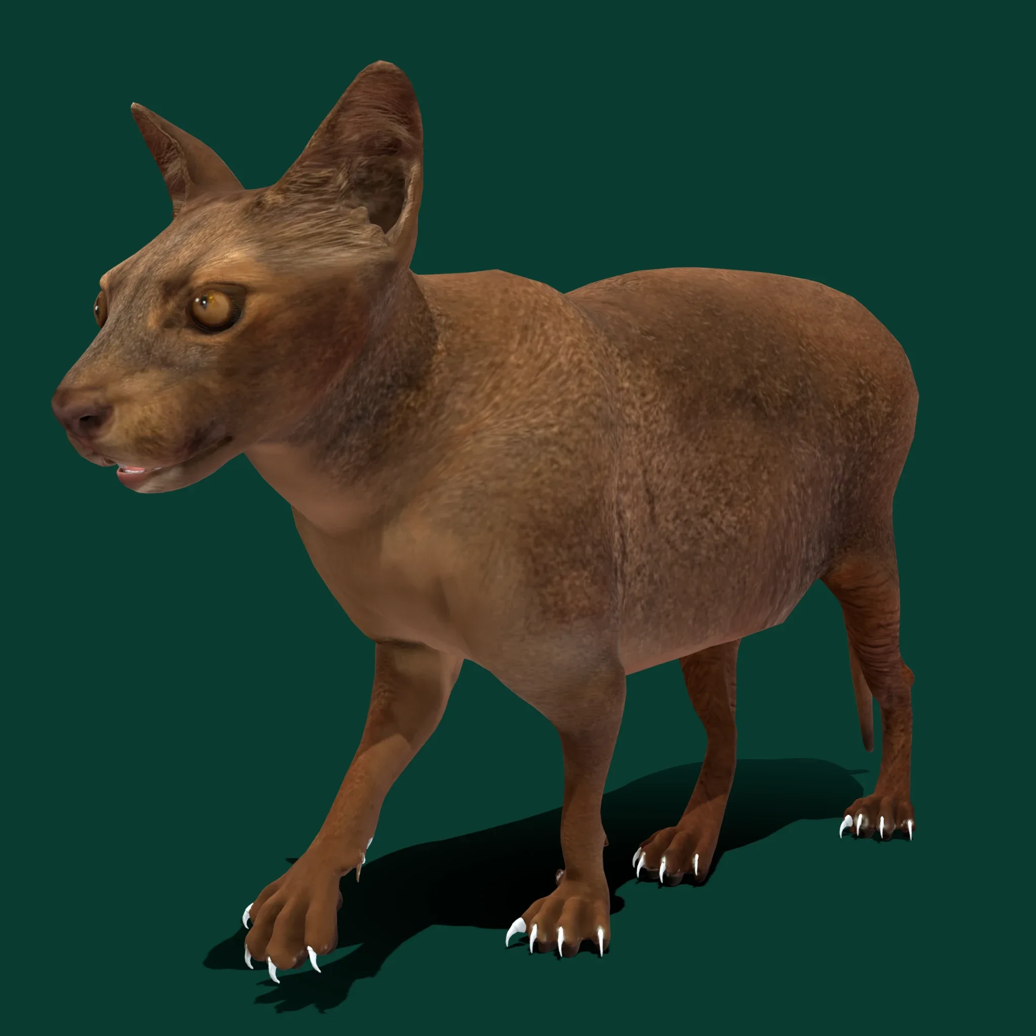 Fossa Animal - FlippedNormals