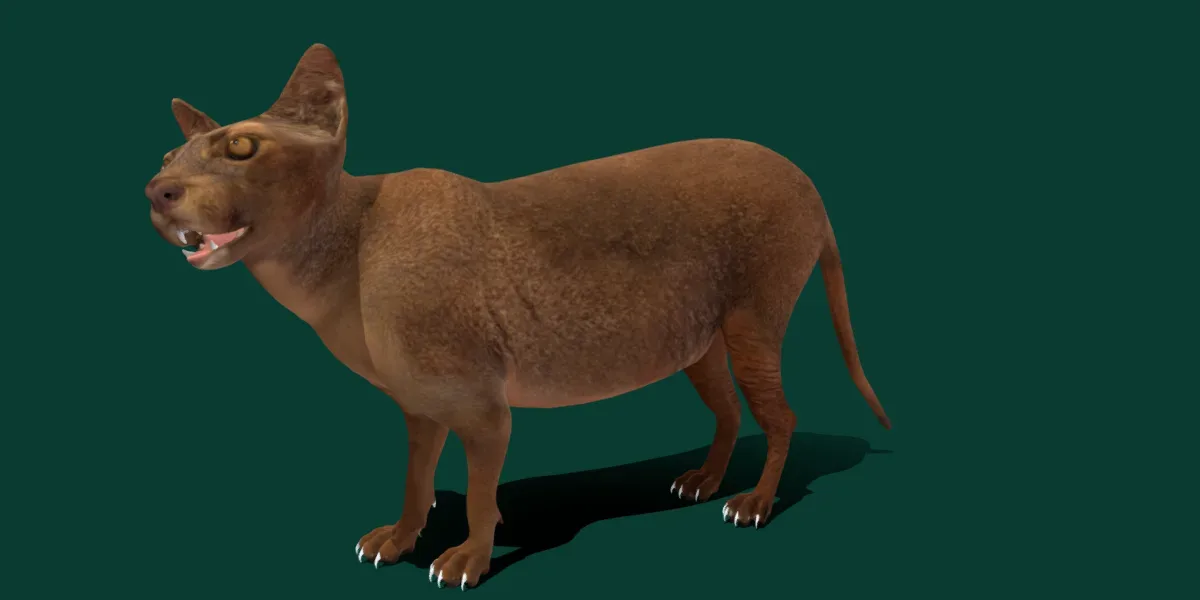 Fossa Animal - FlippedNormals