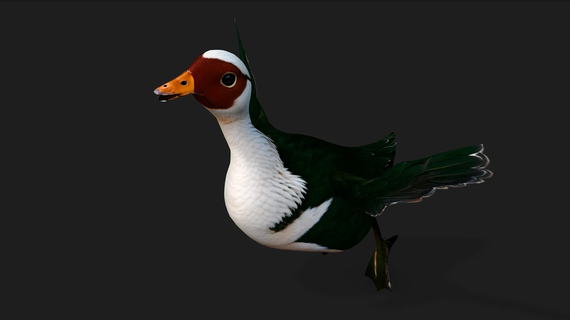 Duck_A4 - FlippedNormals