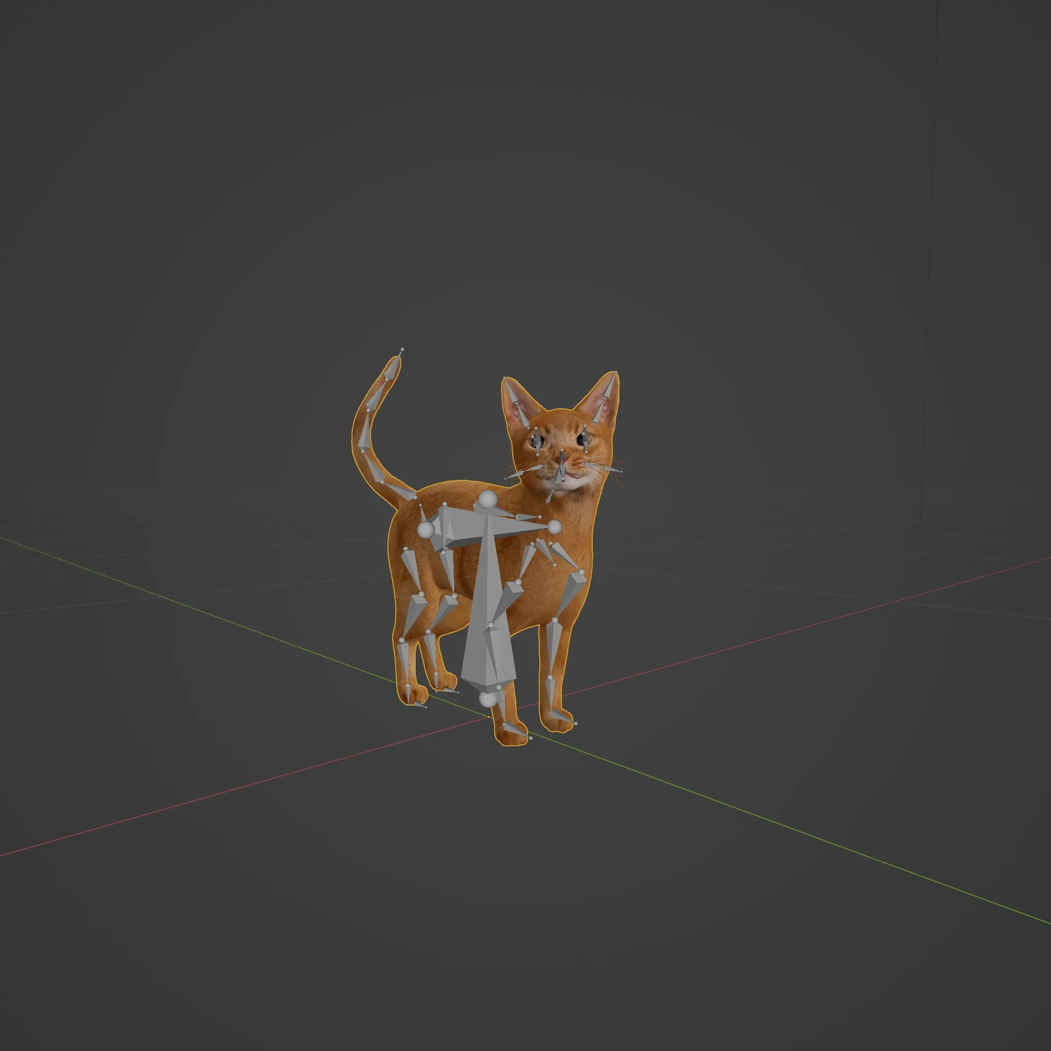 Abyssinian Ginger Cat - FlippedNormals