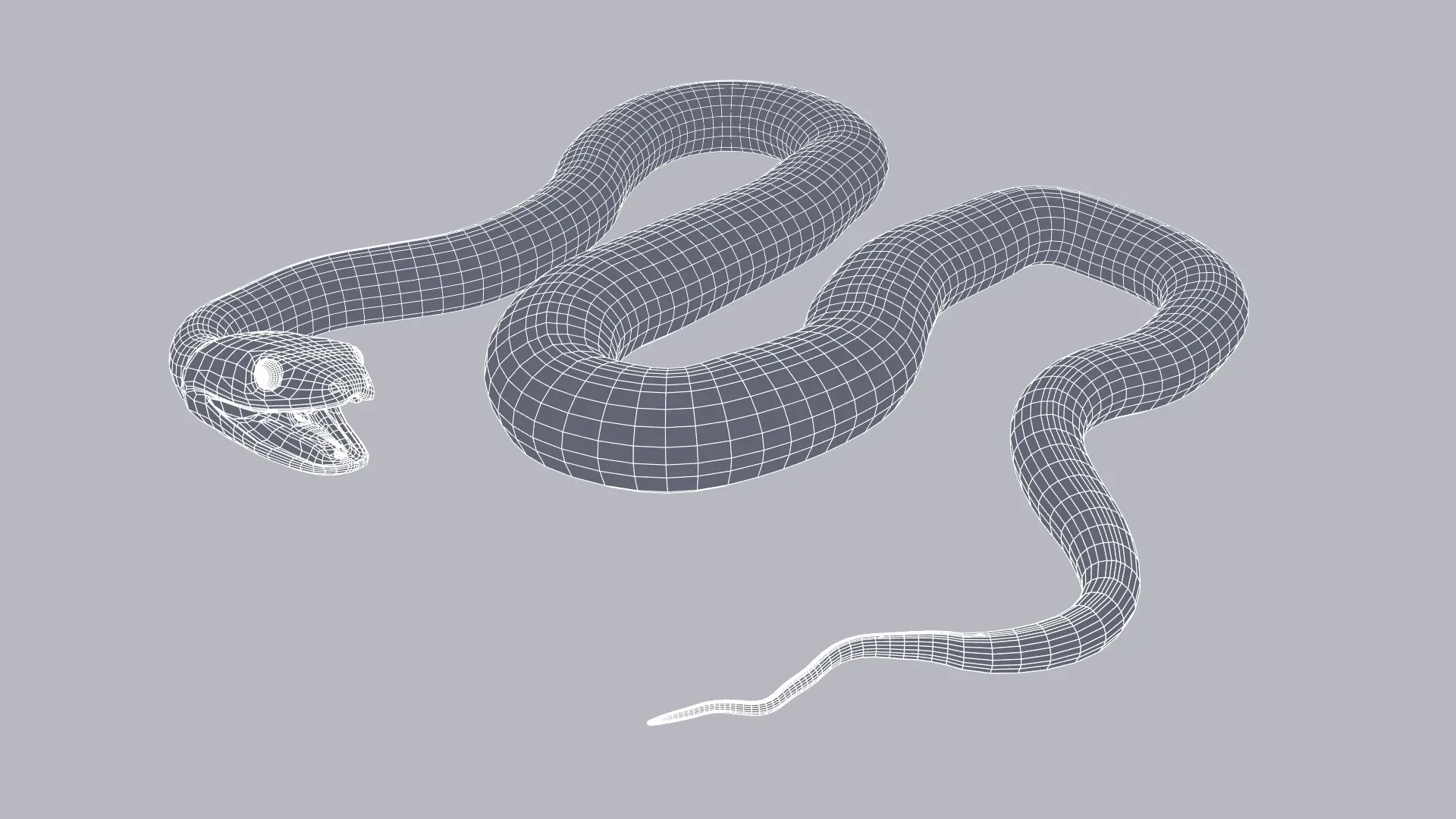 Black Rat Snake - Animated - FlippedNormals