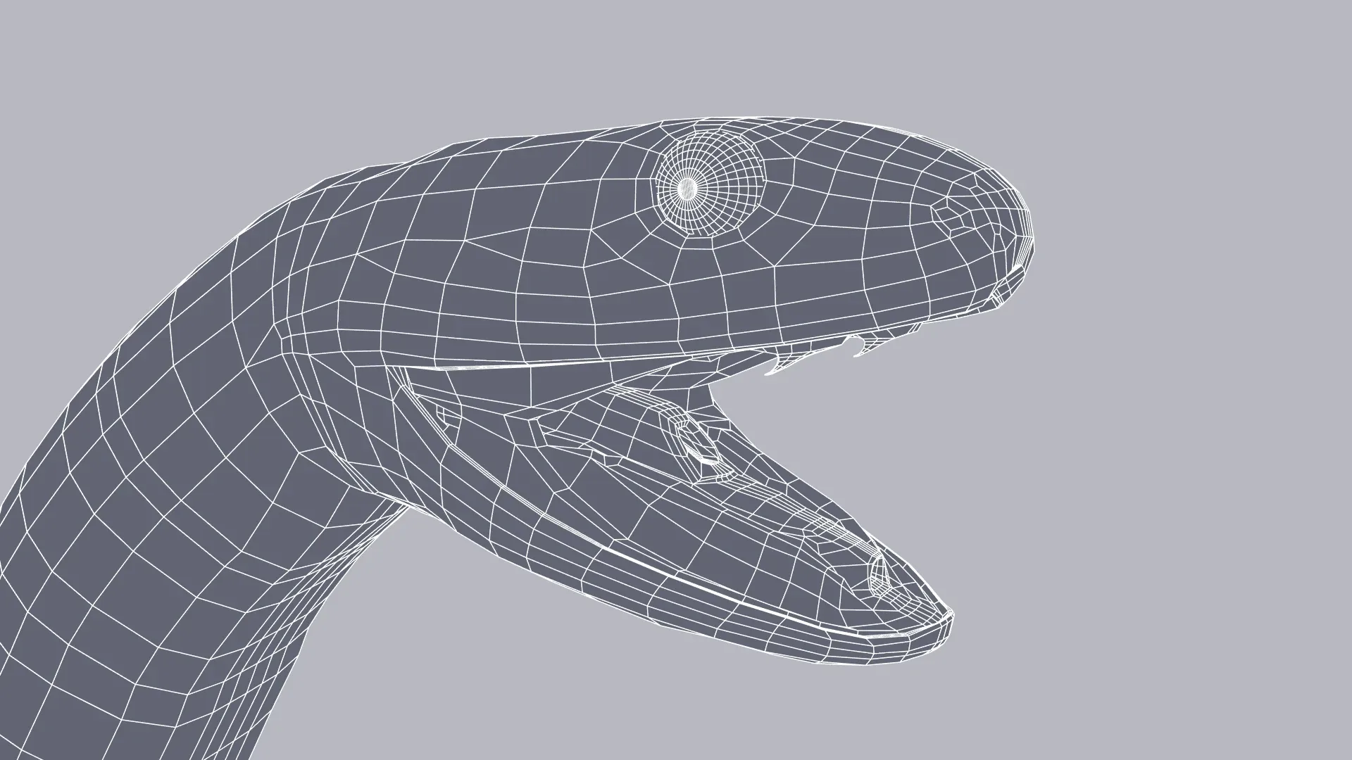 Eastern Coral Snake - Animated - FlippedNormals