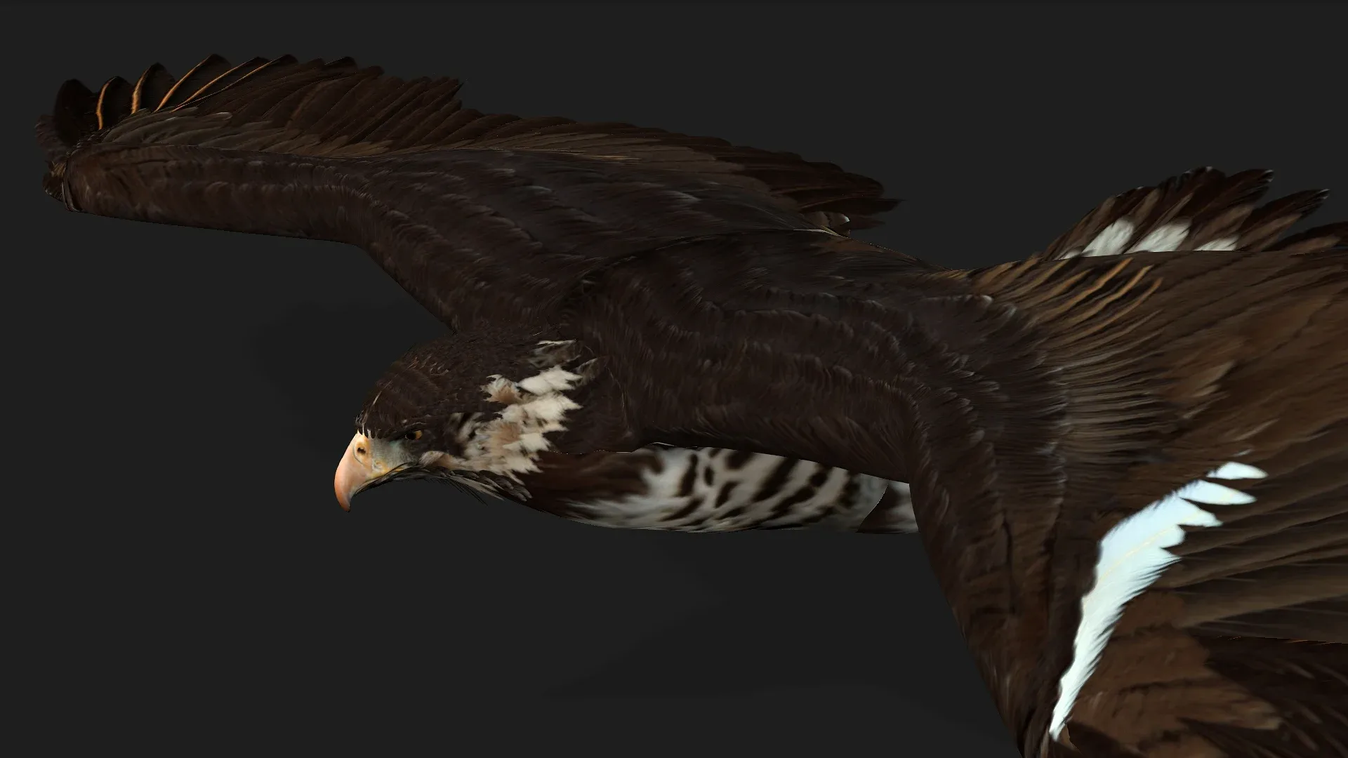Eagle_V1E - FlippedNormals