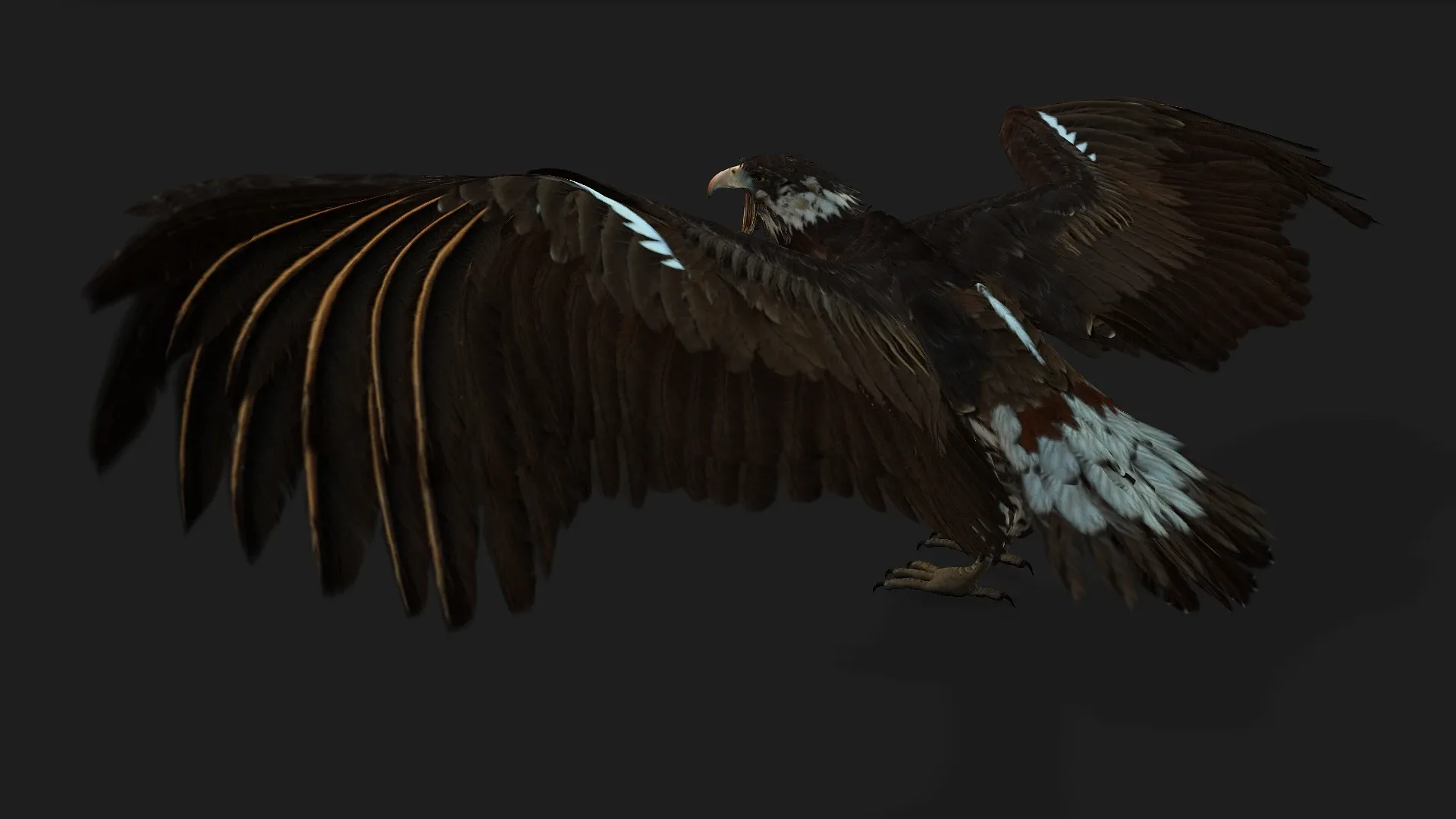 Eagle_V1E - FlippedNormals