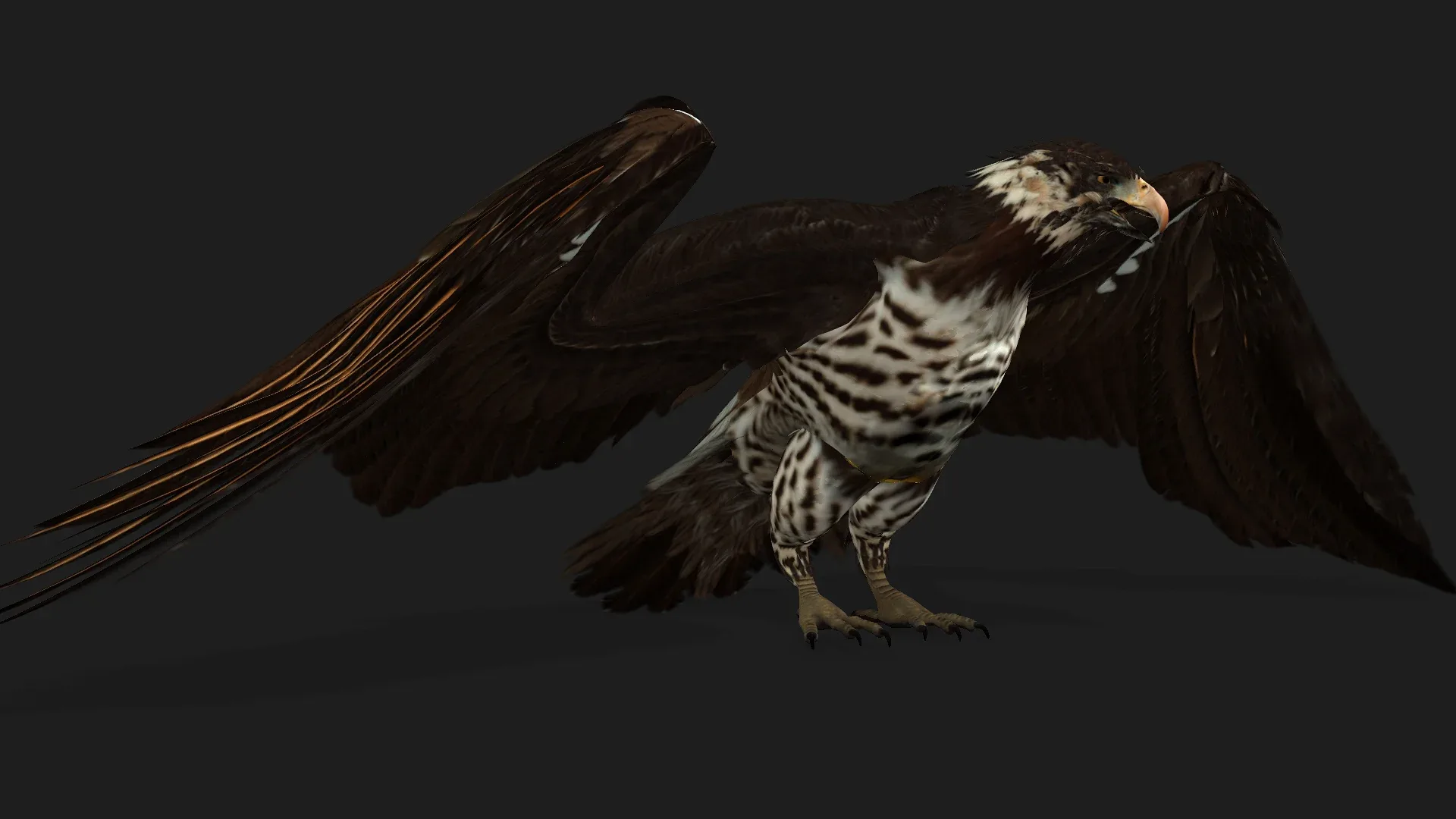 Eagle_V1E - FlippedNormals