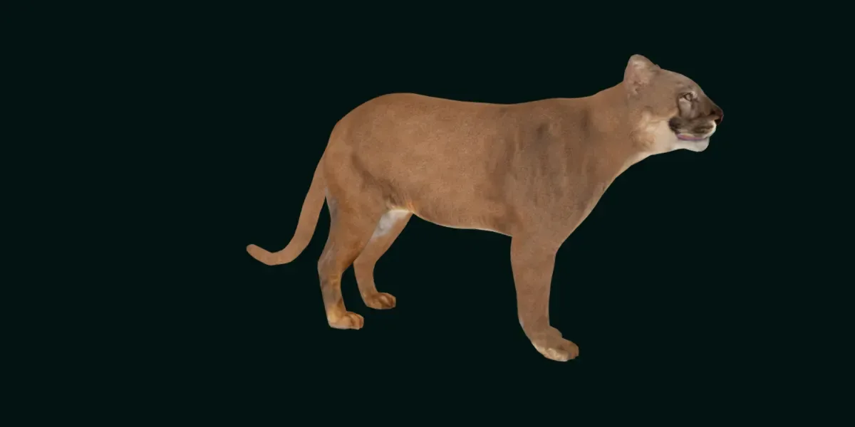 Catamount Cougar Cat - FlippedNormals