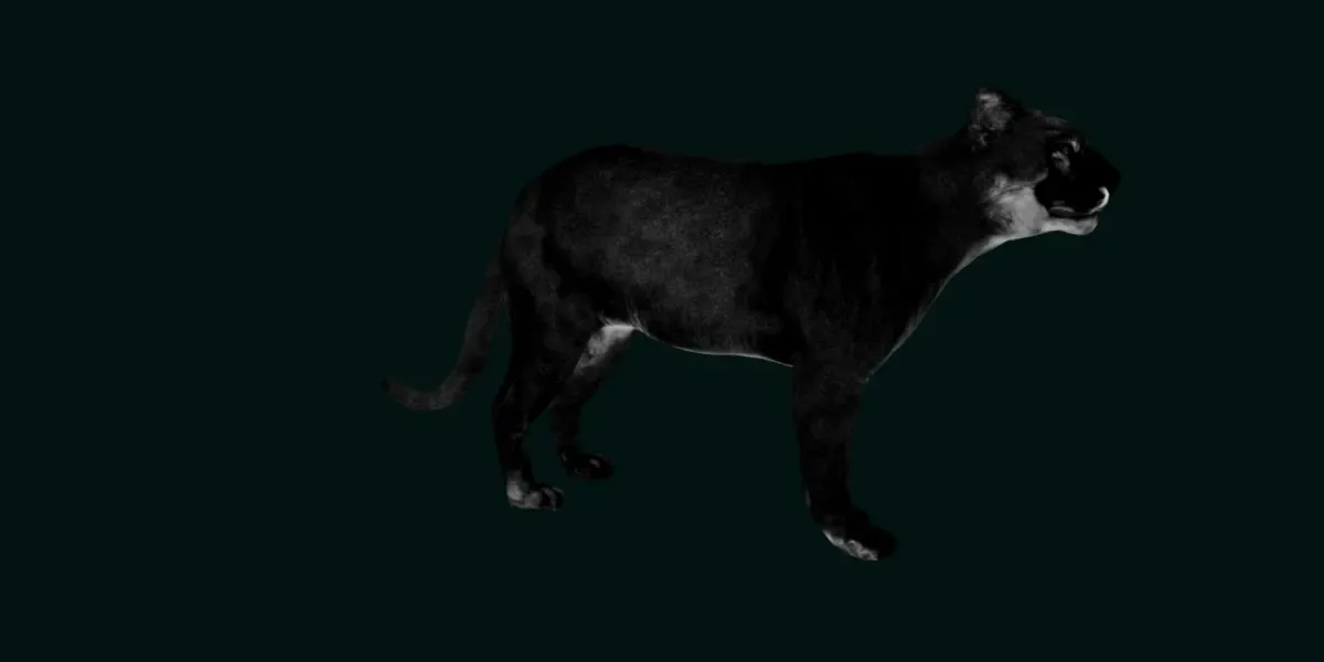 Catamount Cougar Cat - FlippedNormals