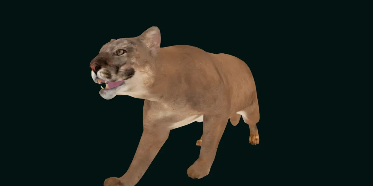 Catamount Cougar Cat - FlippedNormals