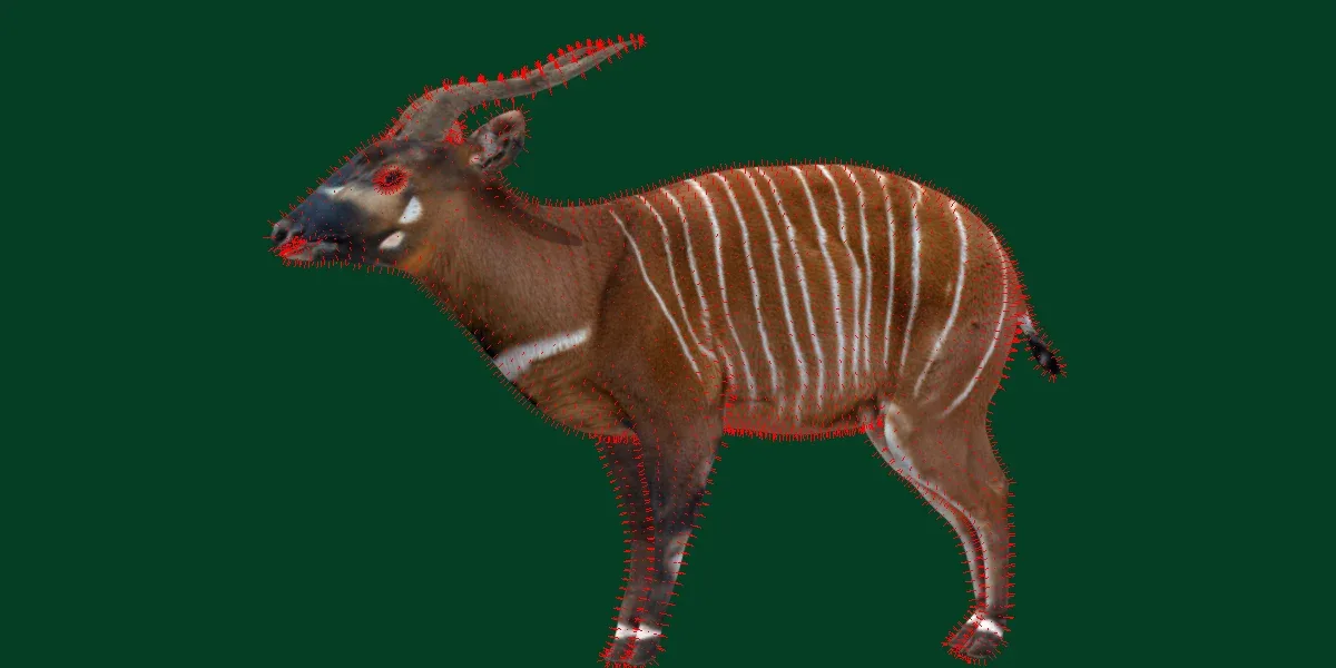 Eastern Bongo Male Antelope - FlippedNormals