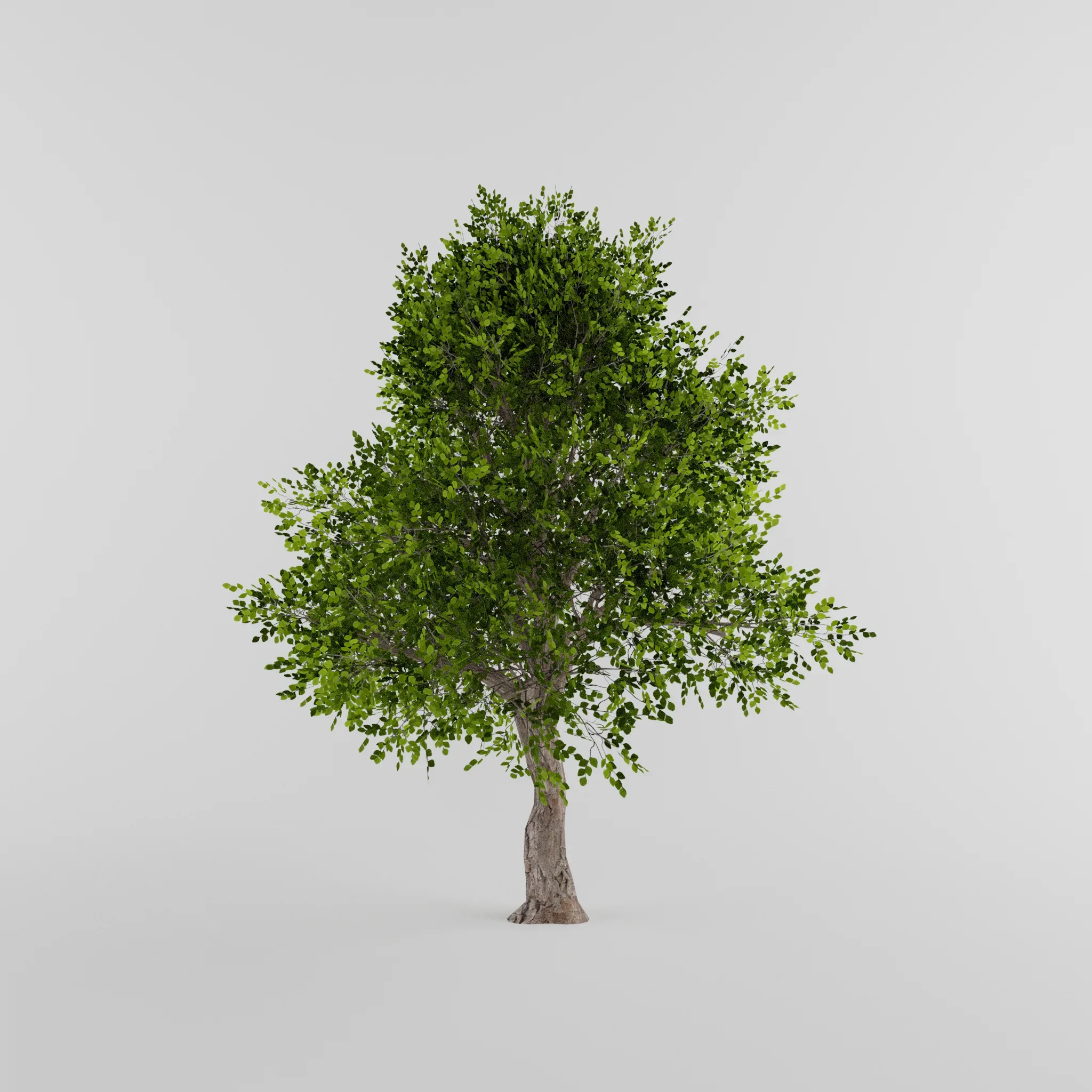 Tree Collection - FlippedNormals