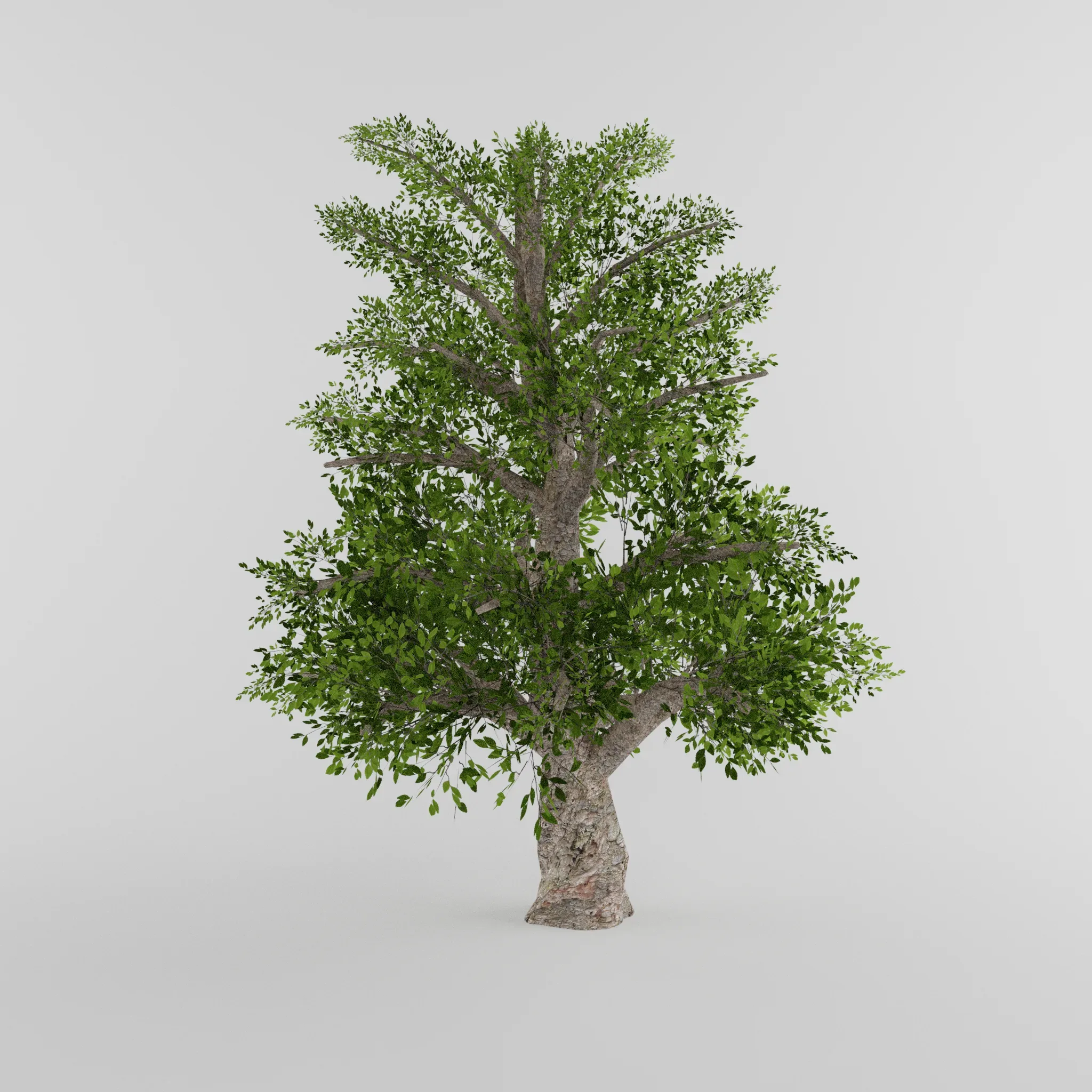 Tree Collection - FlippedNormals