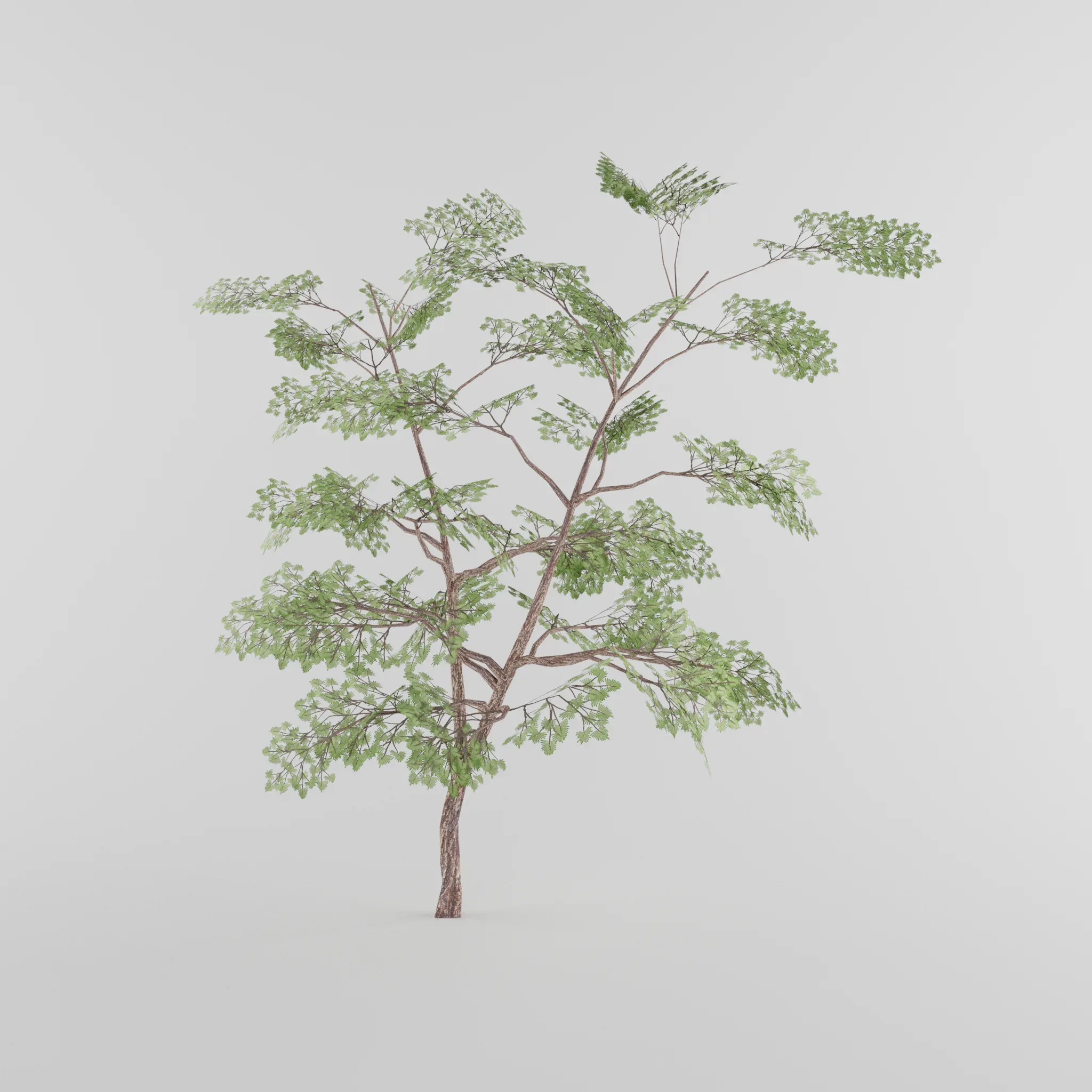 Tree Collection - FlippedNormals