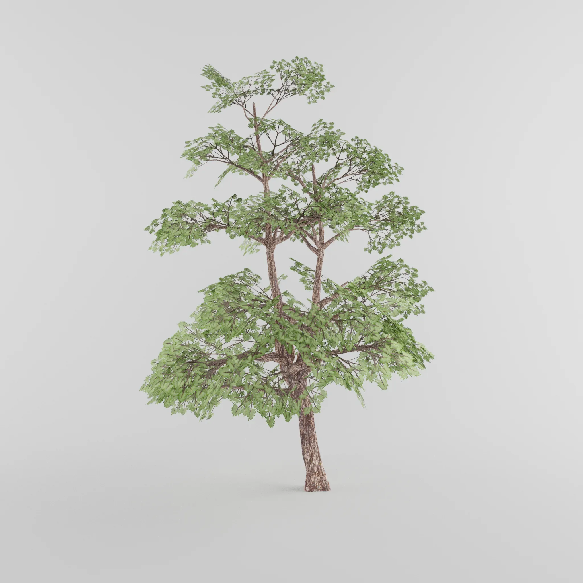 Tree Collection - FlippedNormals