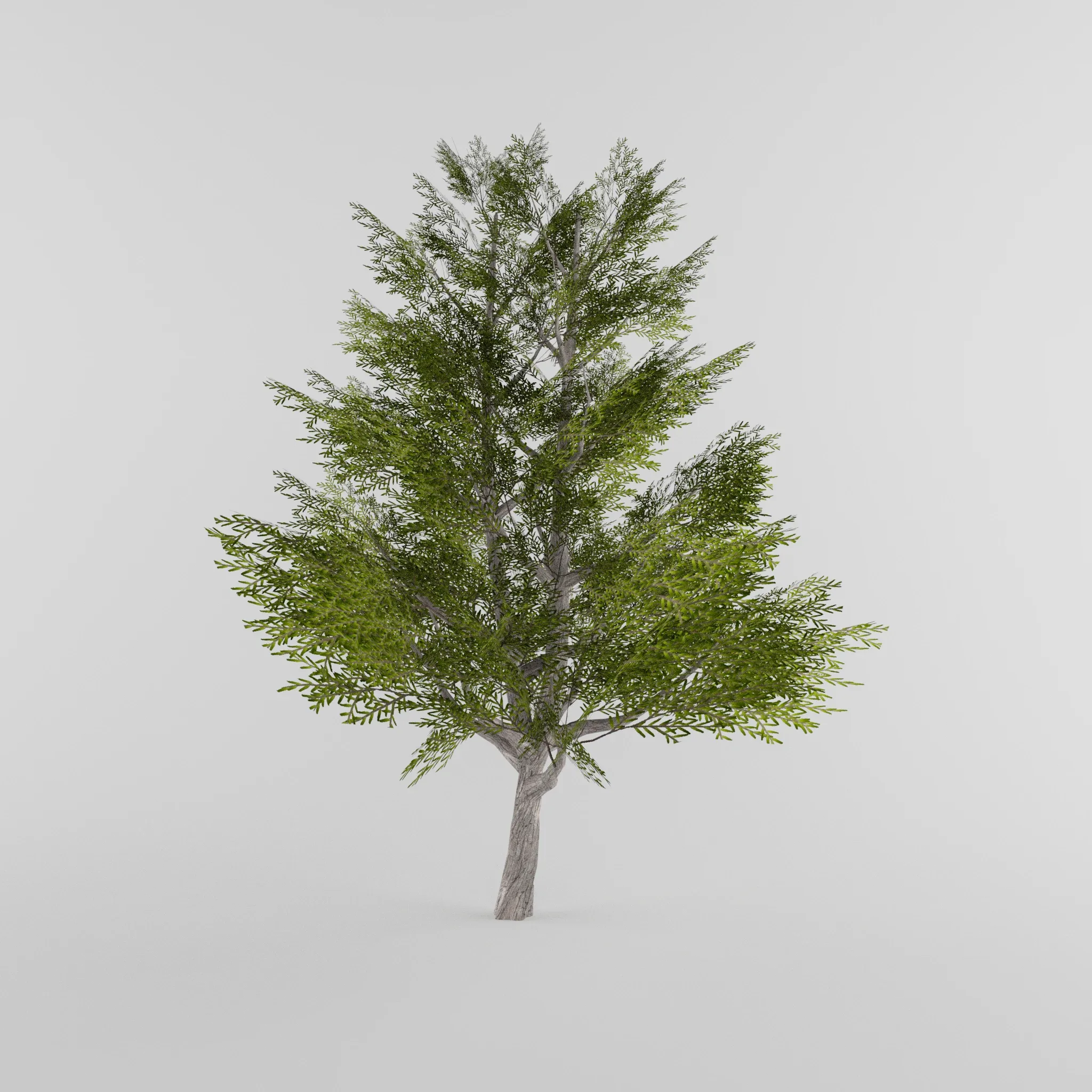 Tree Collection - FlippedNormals