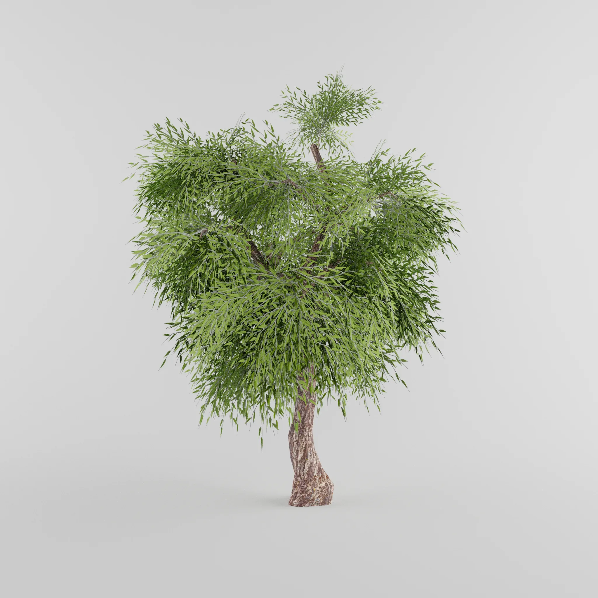 Tree Collection - FlippedNormals