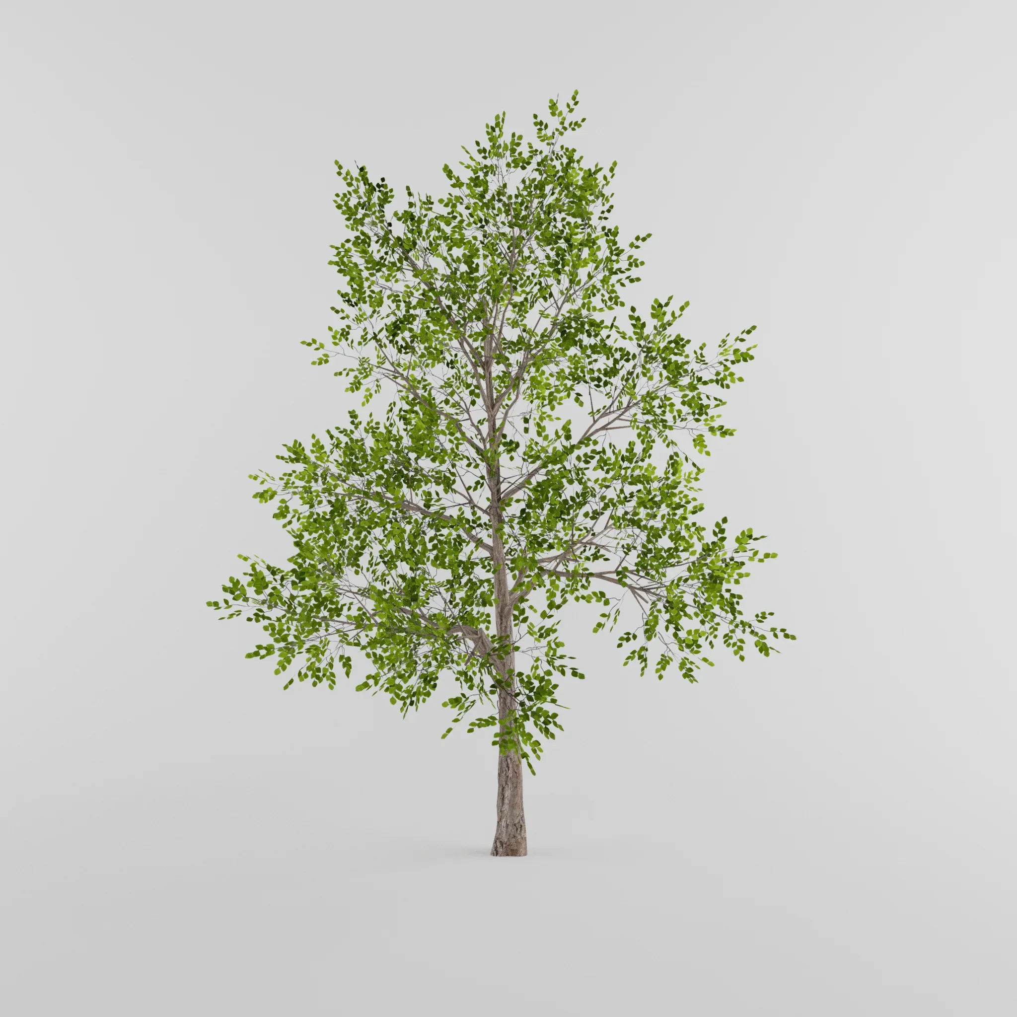 Tree Collection - FlippedNormals