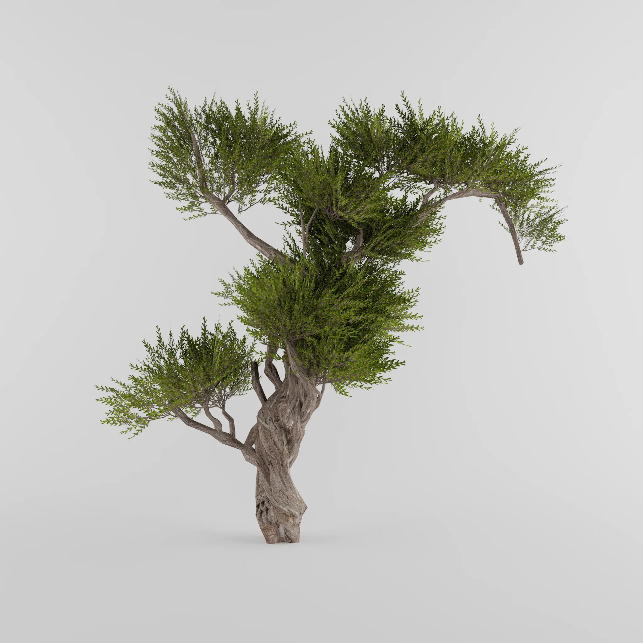 Tree Collection - FlippedNormals