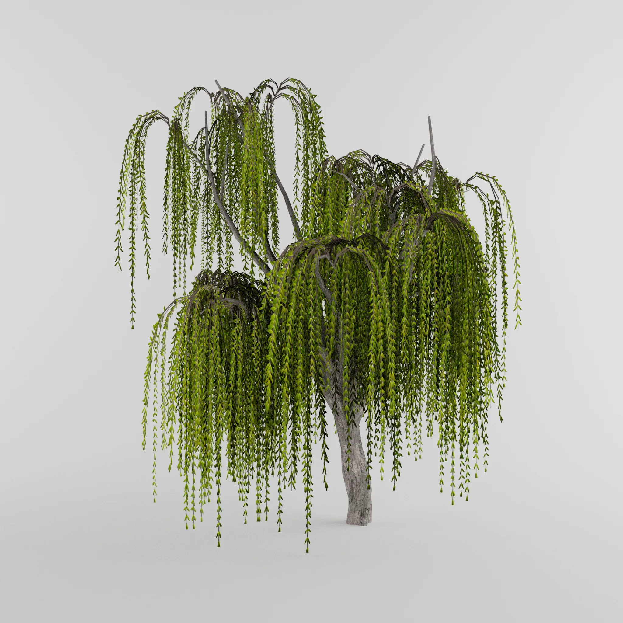 Tree Collection - FlippedNormals
