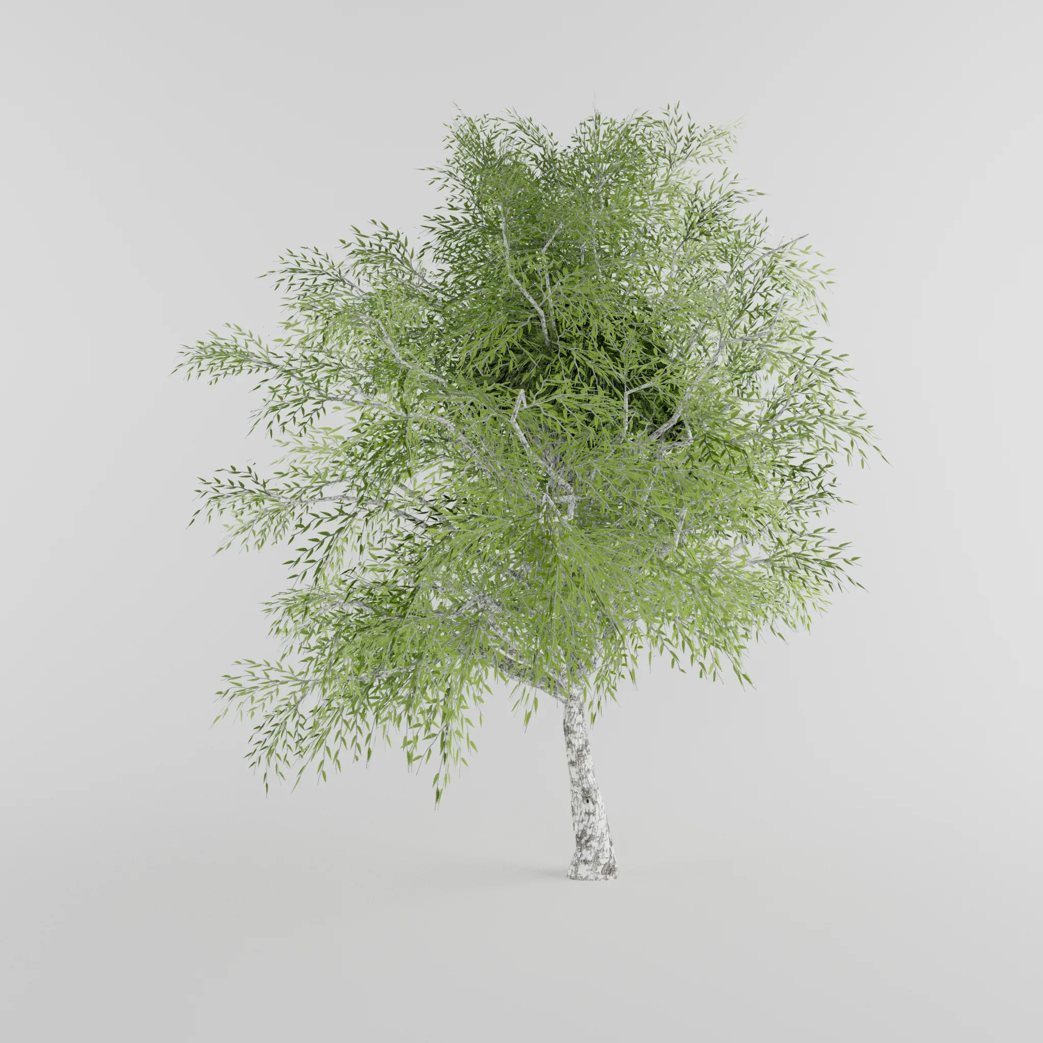Tree Collection - FlippedNormals