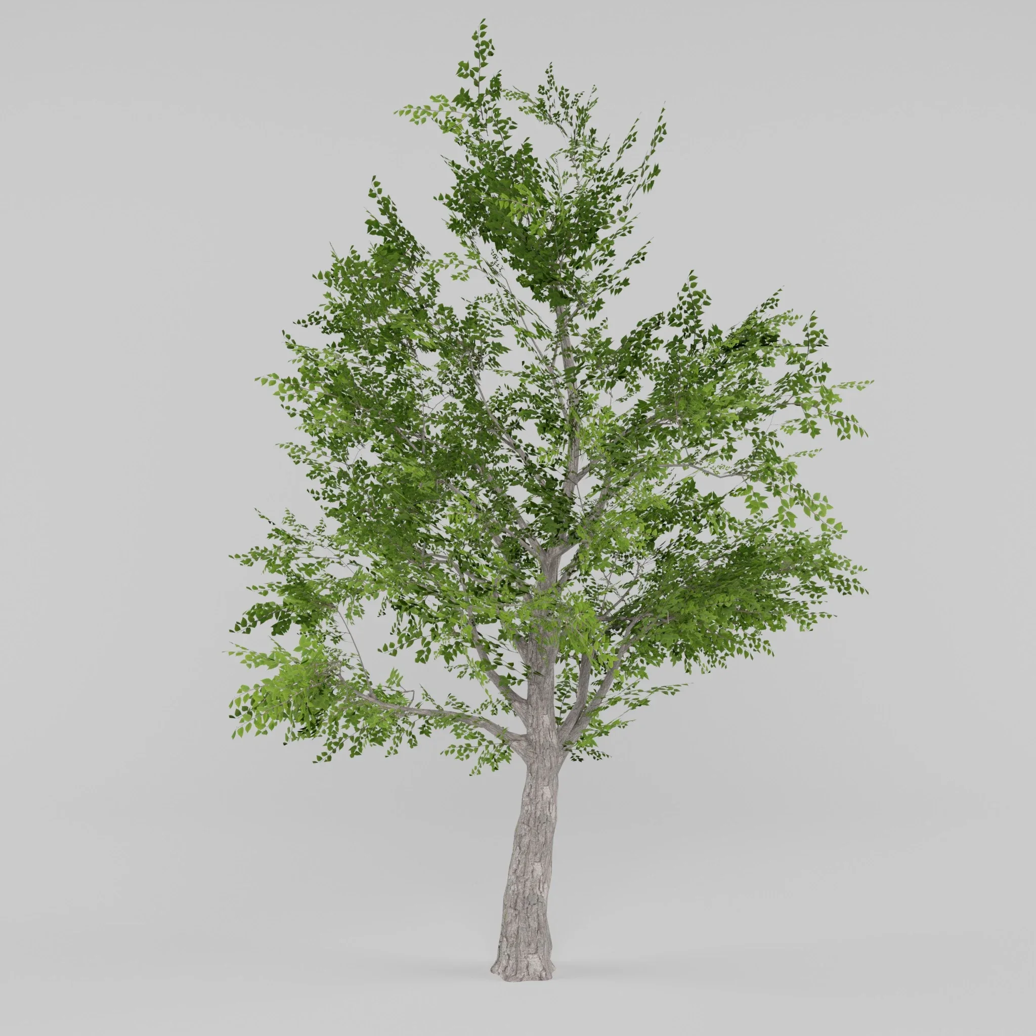 Tree Collection 2 - FlippedNormals