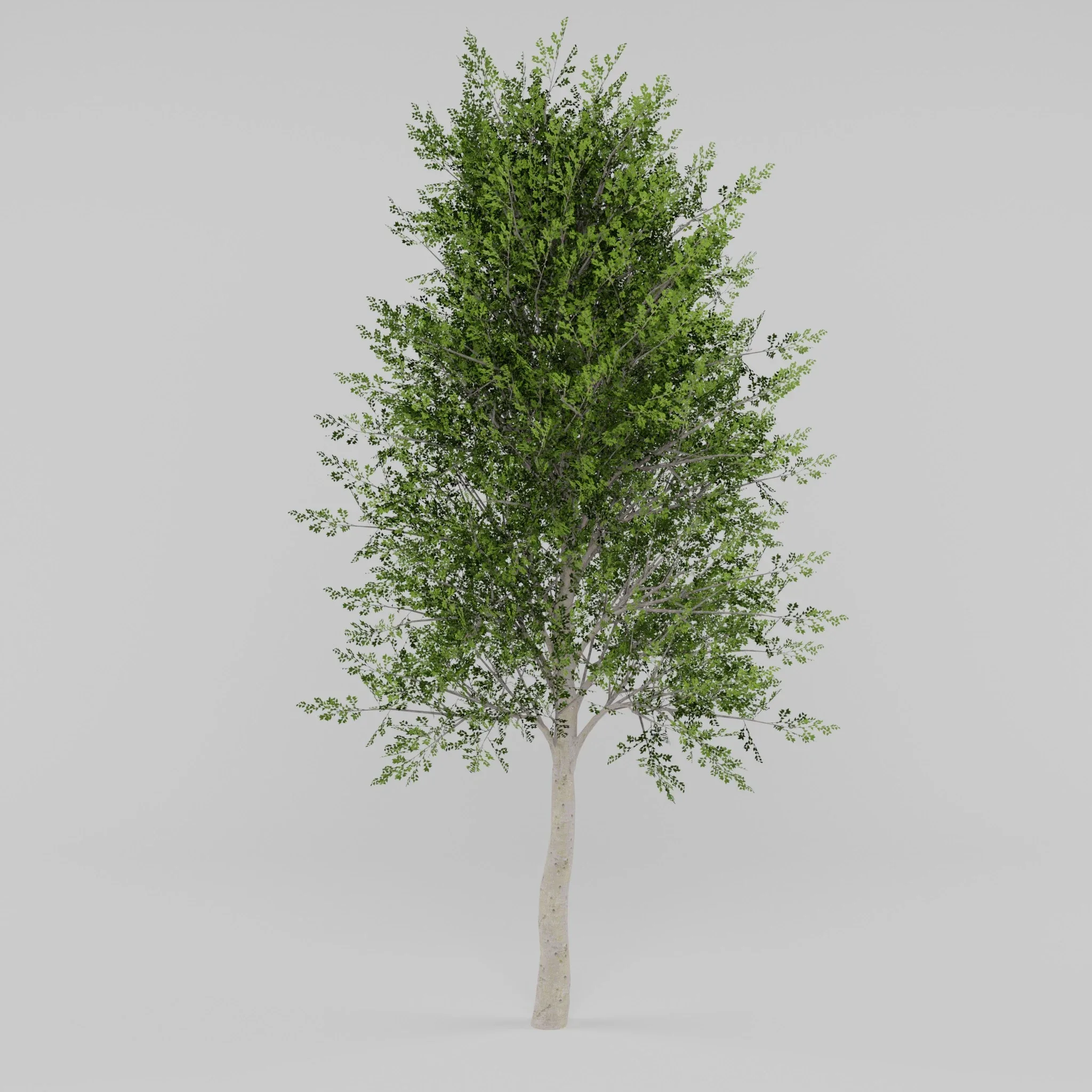 Tree Collection 2 - FlippedNormals