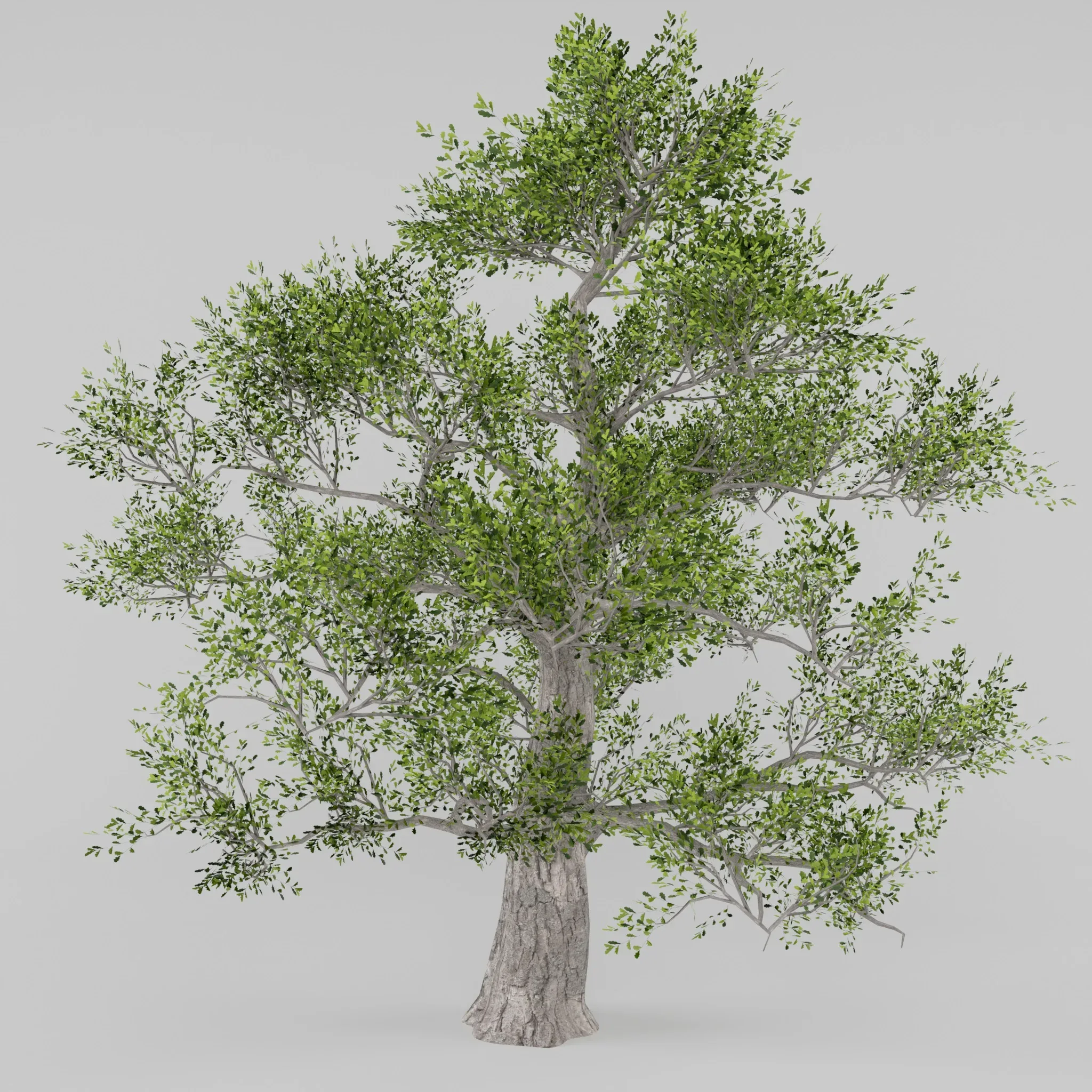 Tree Collection 2 - FlippedNormals