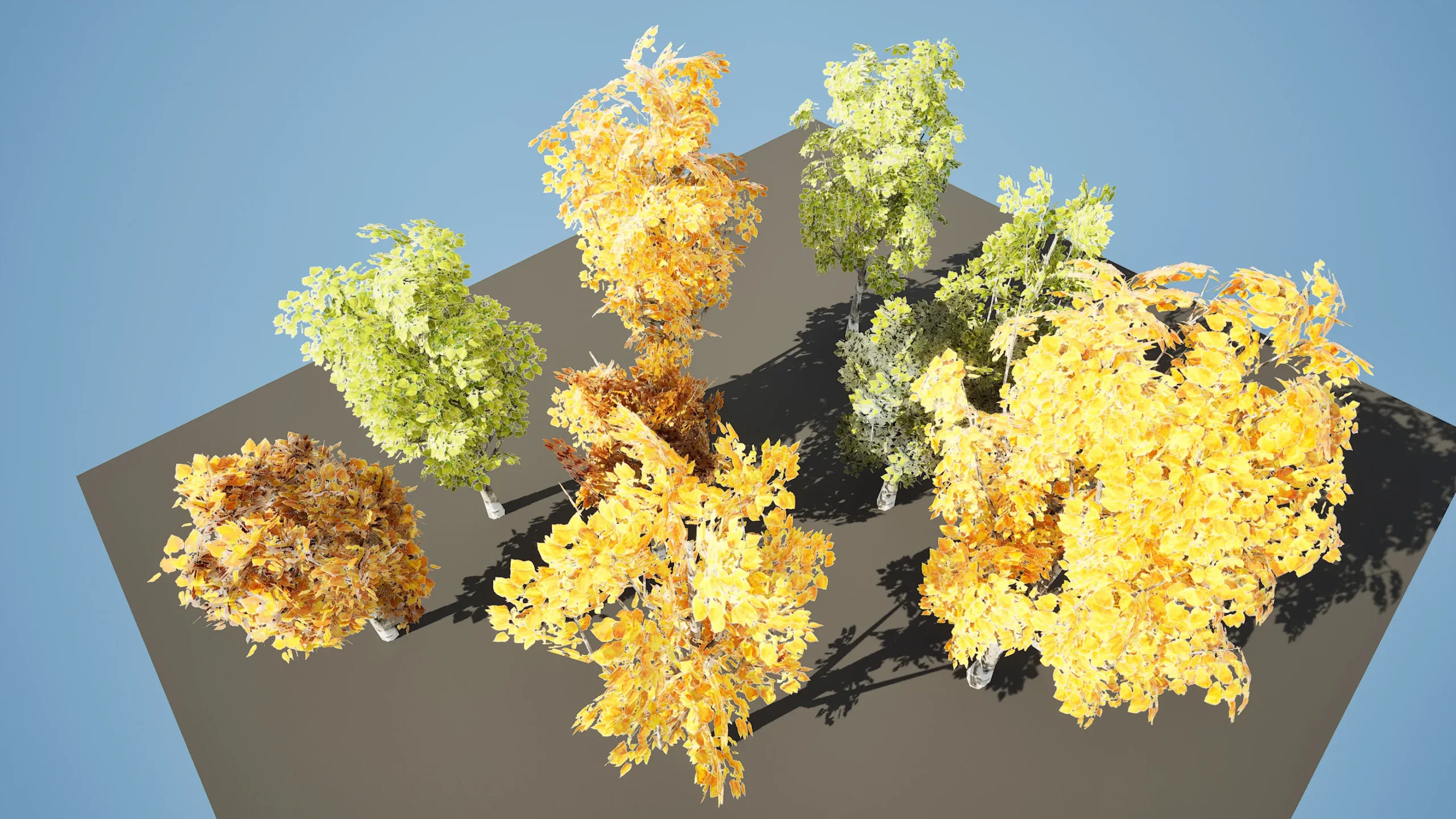 Game Ready Low Poly Grey Poplar - FlippedNormals