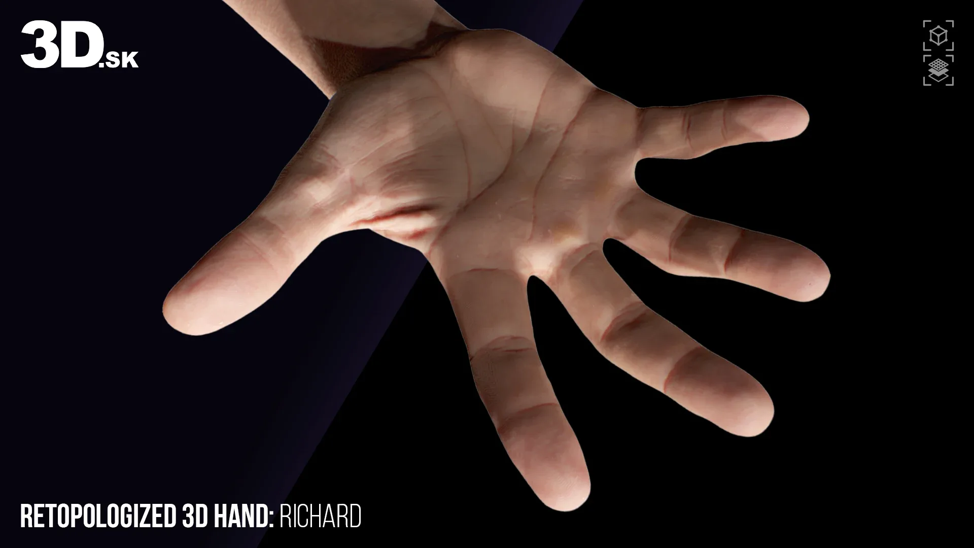 Retopologized 3D Hand | Richard - FlippedNormals