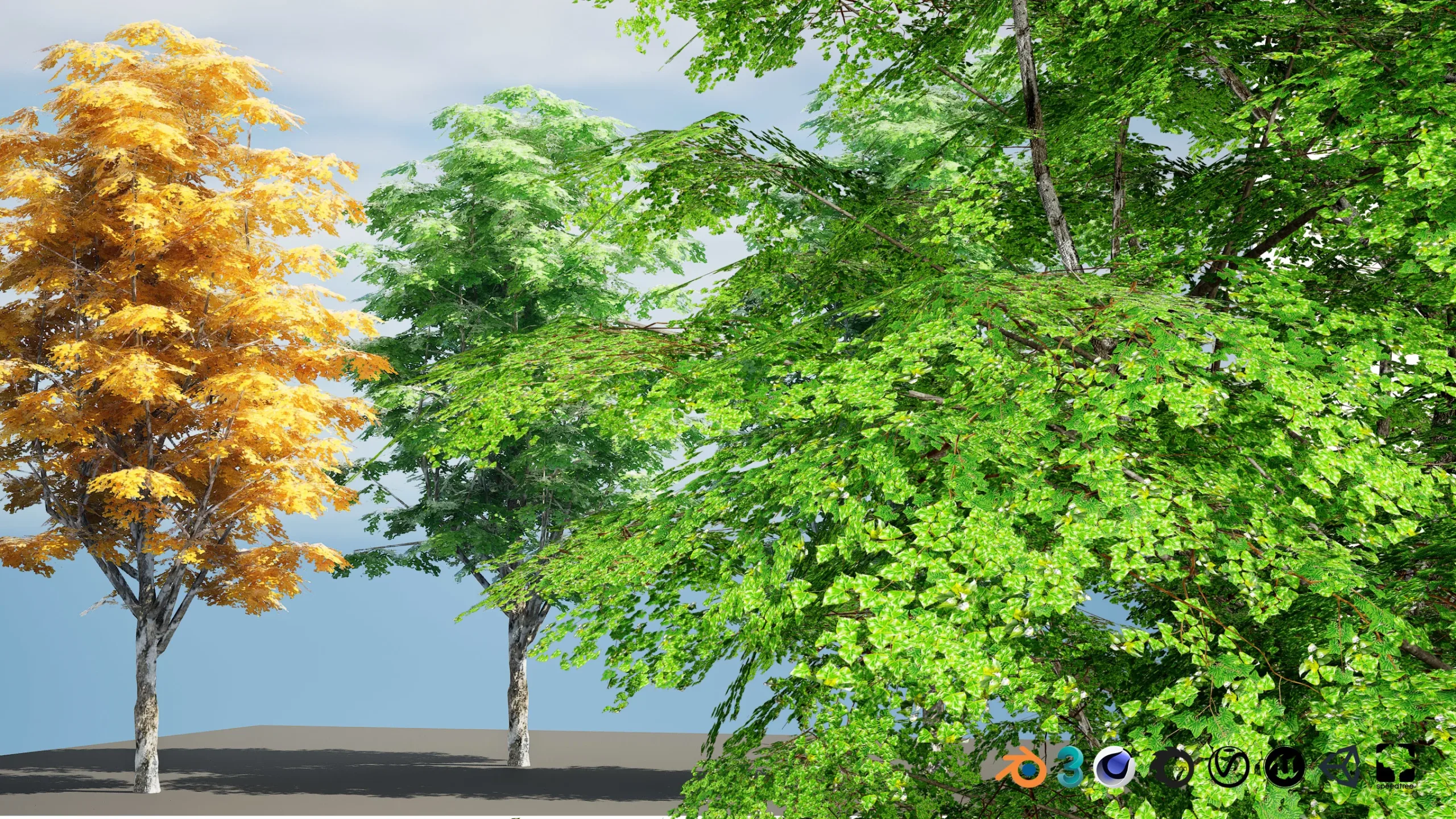 Low poly Grey Poplar trees with - FlippedNormals