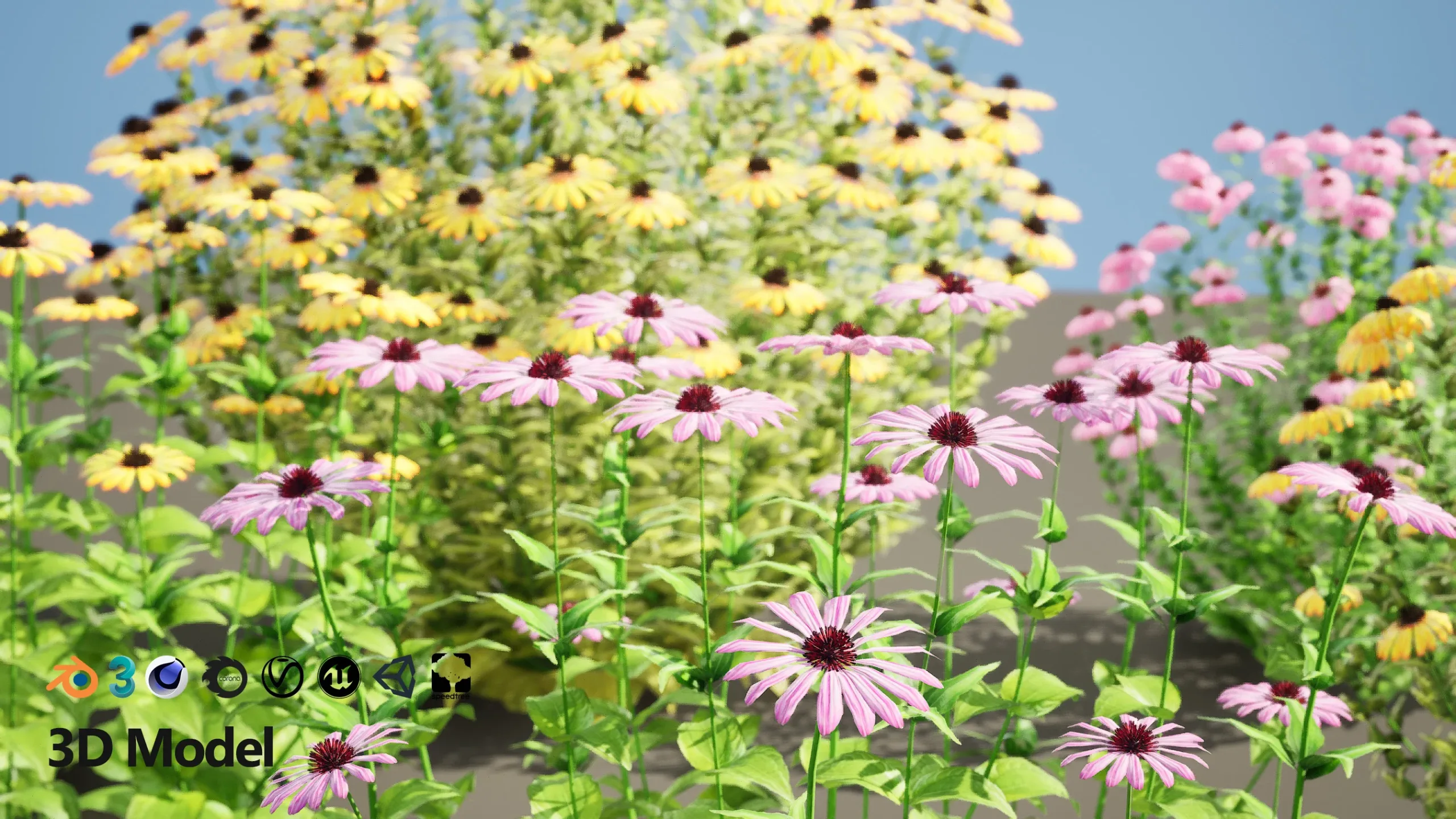 Purple and Deam's Coneflowers 3d - FlippedNormals