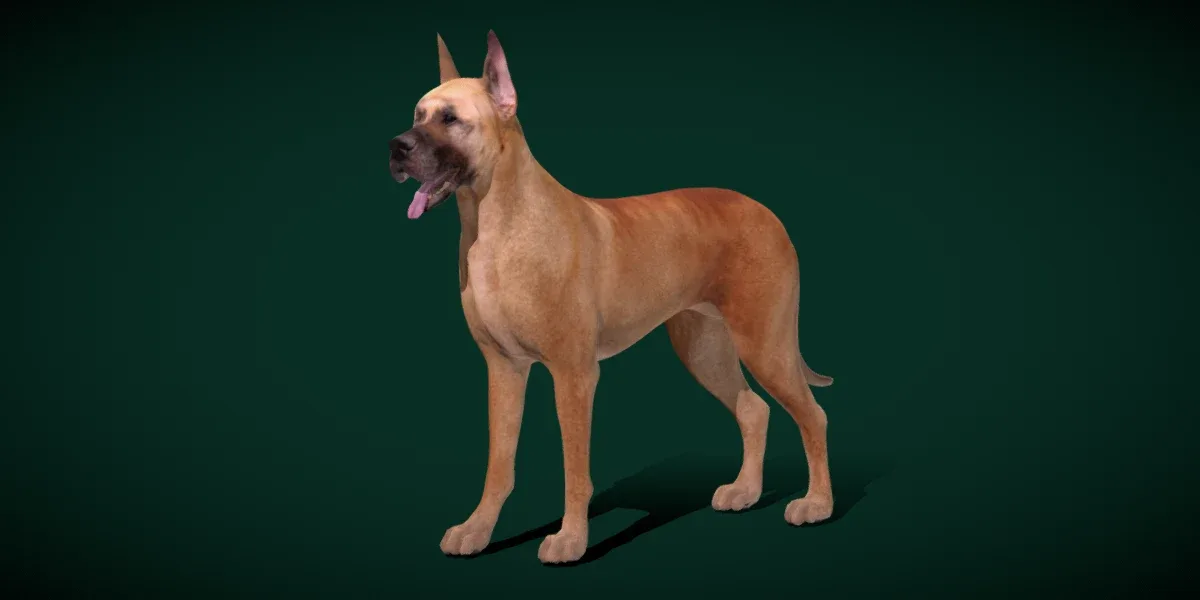 Great Dane Dog Breed - FlippedNormals Great Dane Dog Breed - FlippedNormals