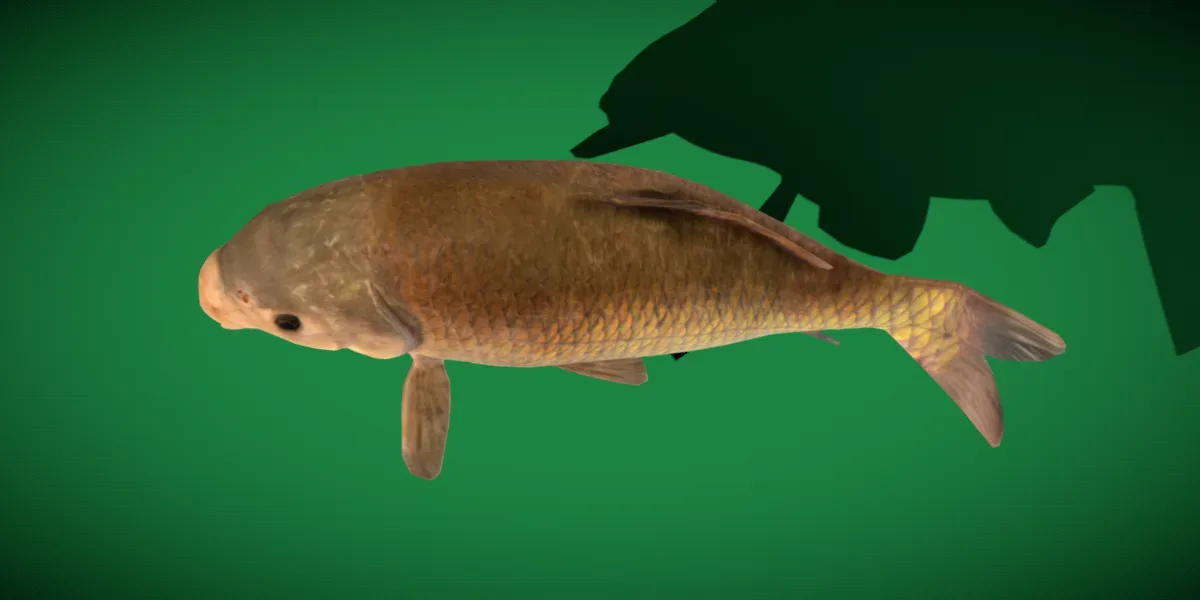 Black Buffalo FIsh - FlippedNormals