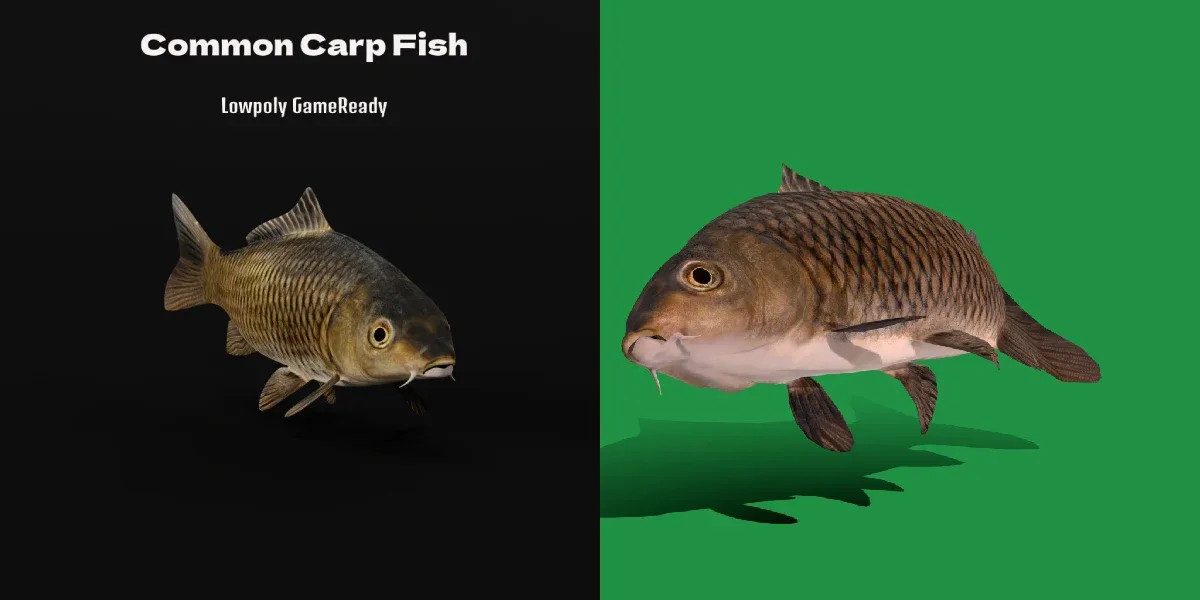 Common Carp Fish - FlippedNormals