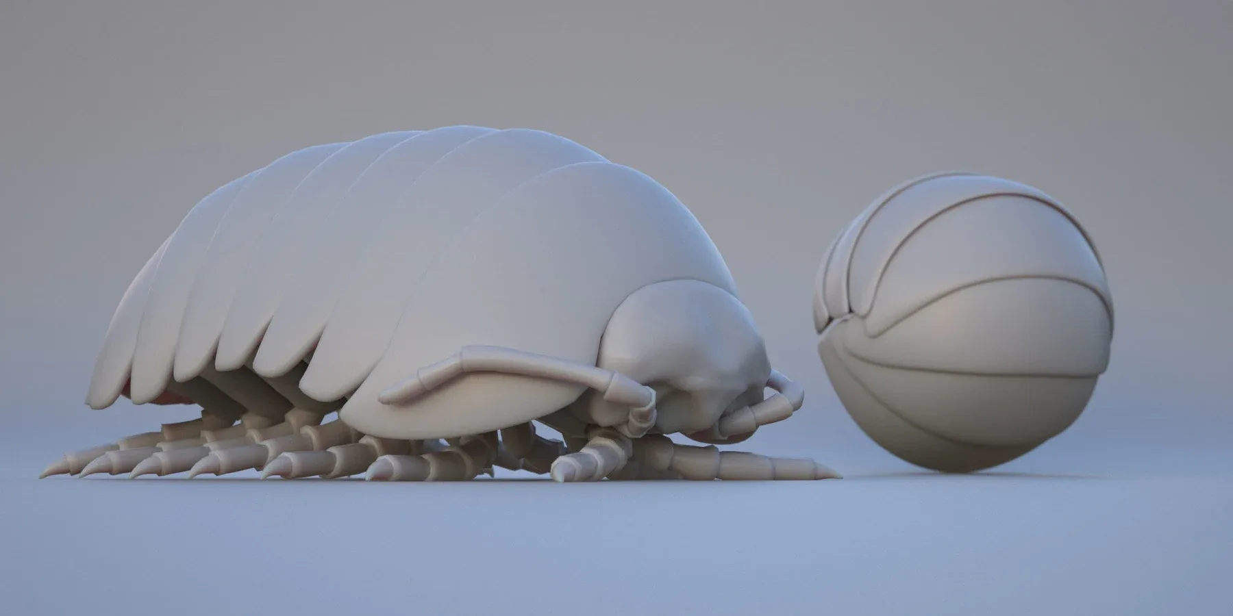 Roly Poly - Isopod Basemesh - FlippedNormals