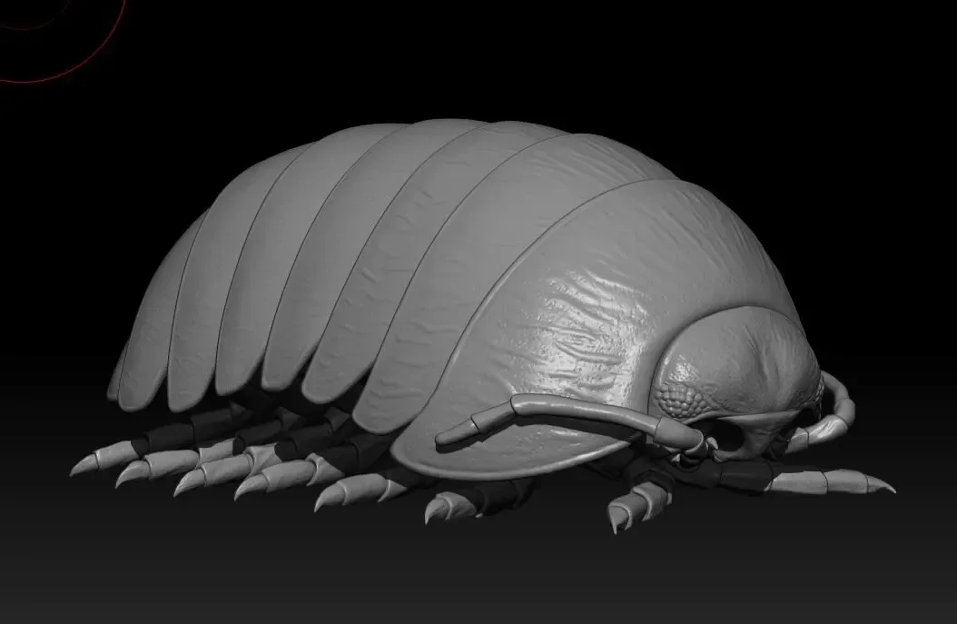 Roly Poly - Isopod Basemesh - FlippedNormals