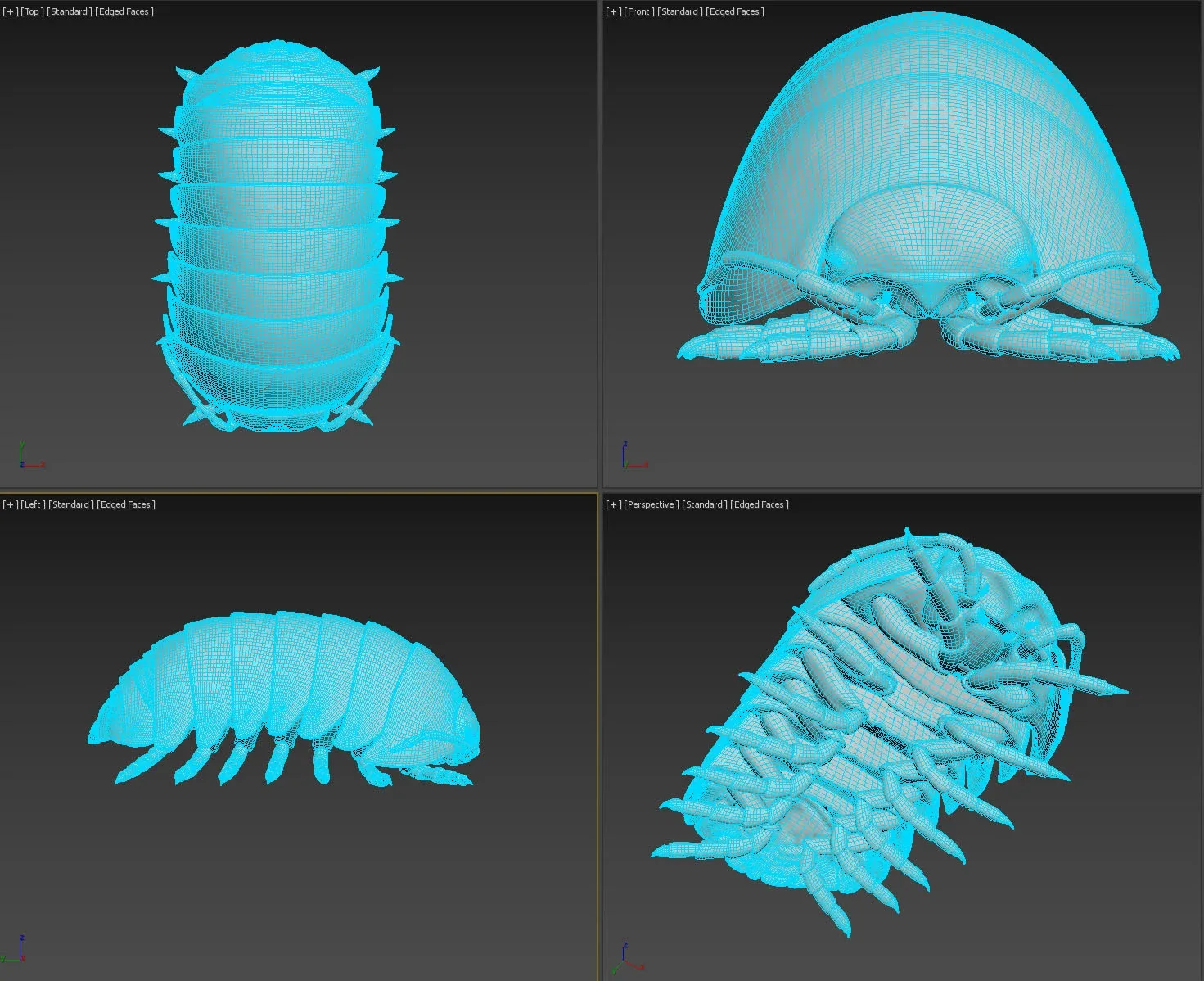Roly Poly - Isopod Basemesh - FlippedNormals