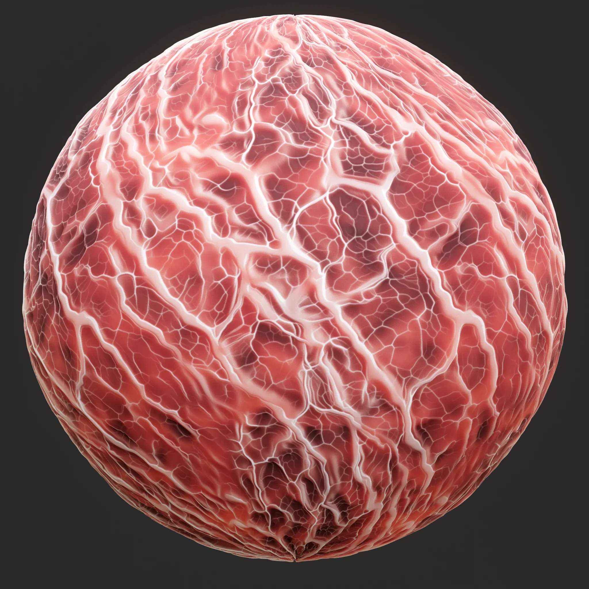 Anatomy Seamless Texture - FlippedNormals