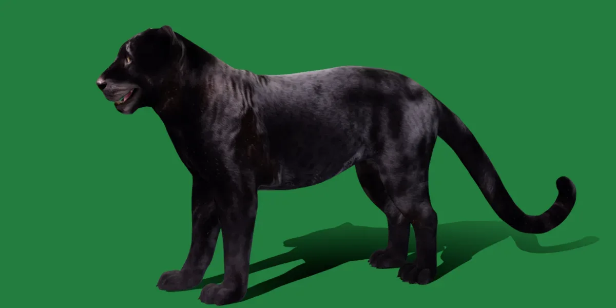 Black Panther Leopard - FlippedNormals