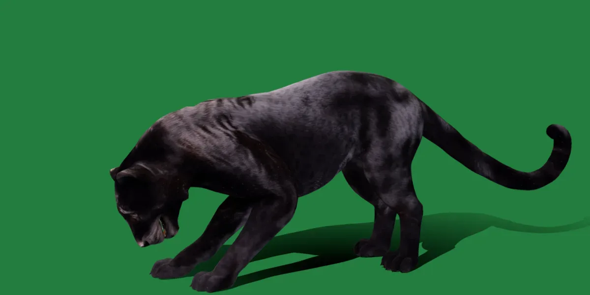 Black Panther Leopard - FlippedNormals