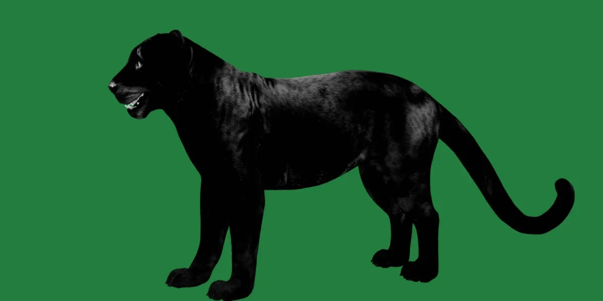 Black Panther Leopard - FlippedNormals