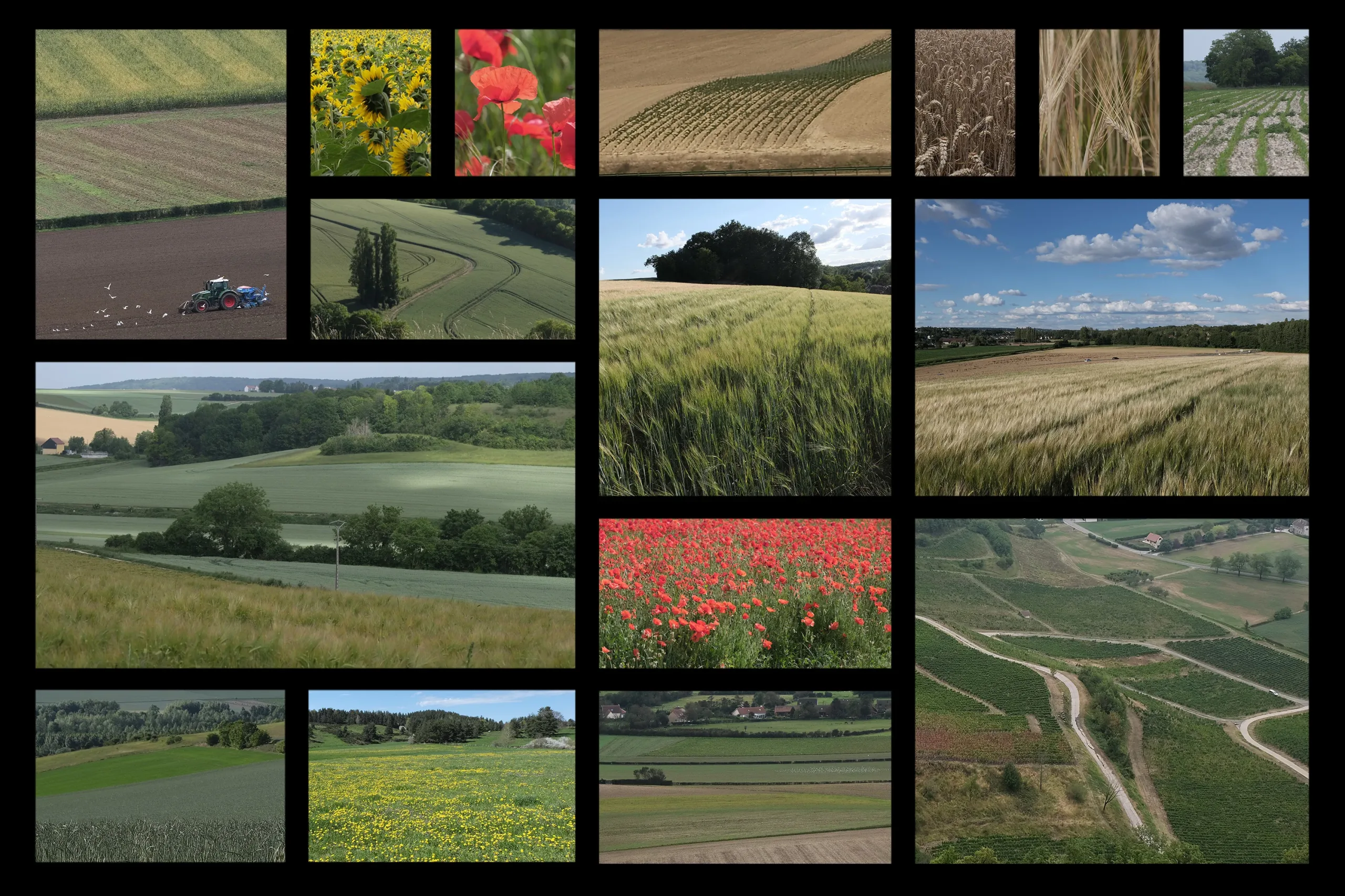 Fields CREATIVE PACK - FlippedNormals