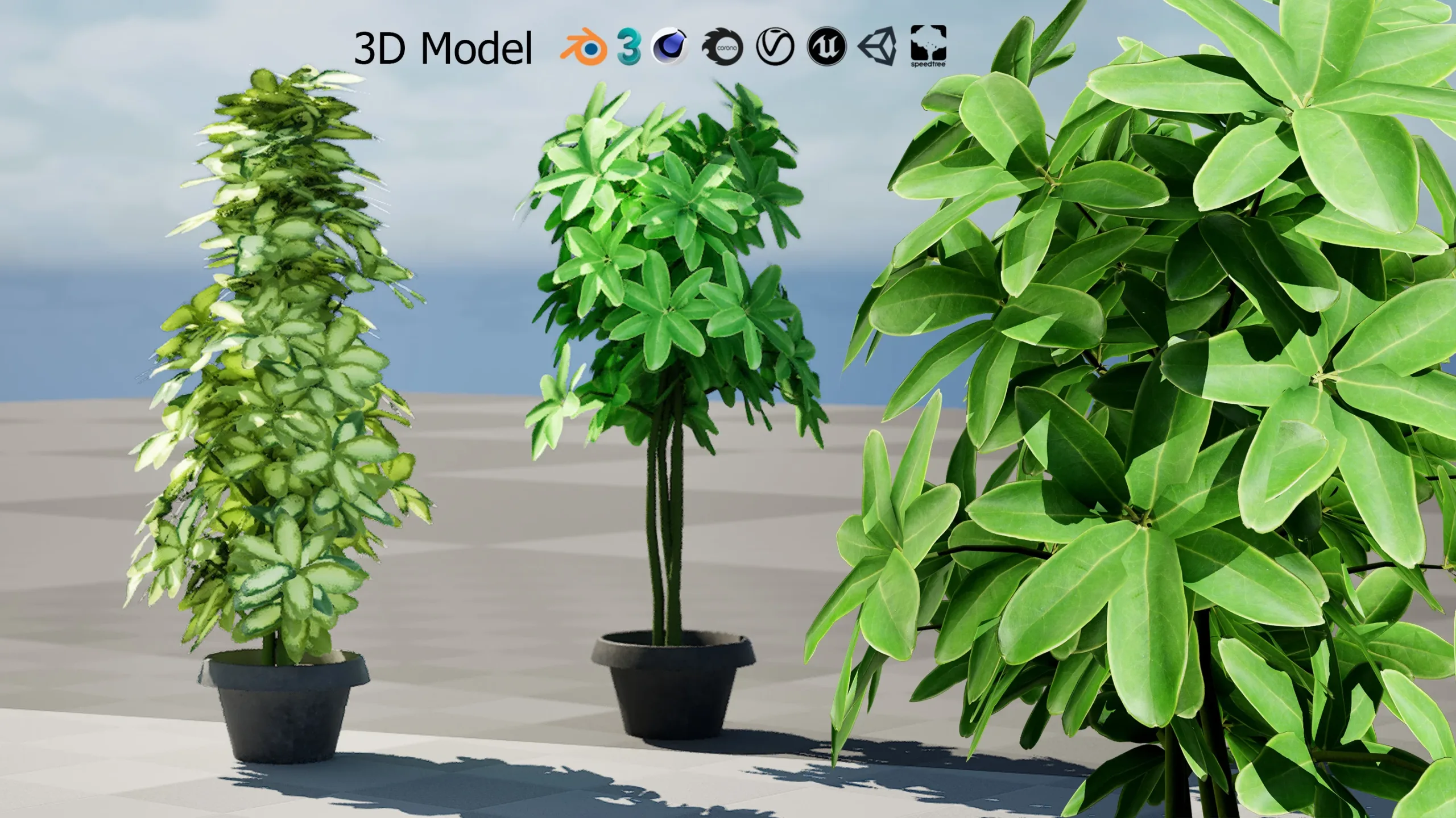 Low-Poly Schefflera Plants in Pots - FlippedNormals