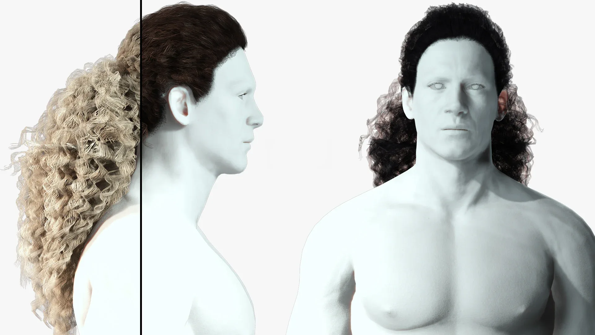 Realistic Curly Long Hair Low-poly - FlippedNormals
