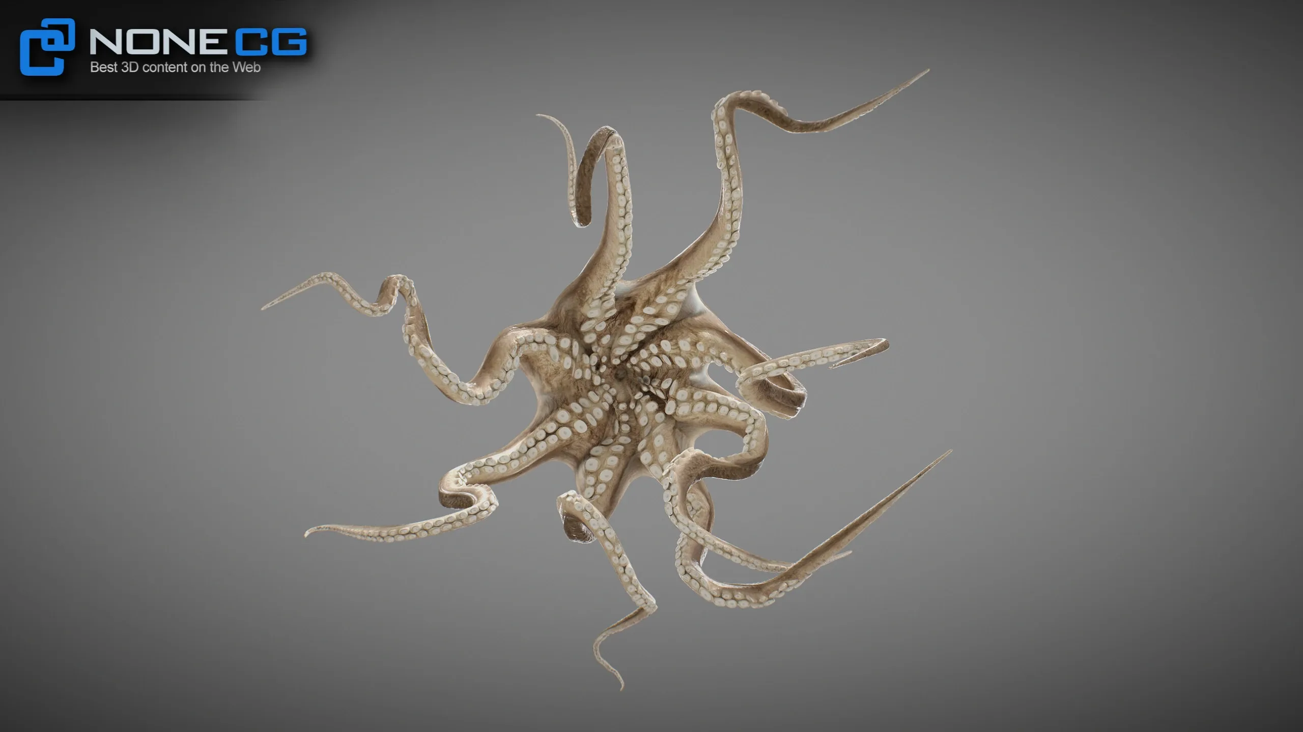 Animated Octopus - FlippedNormals